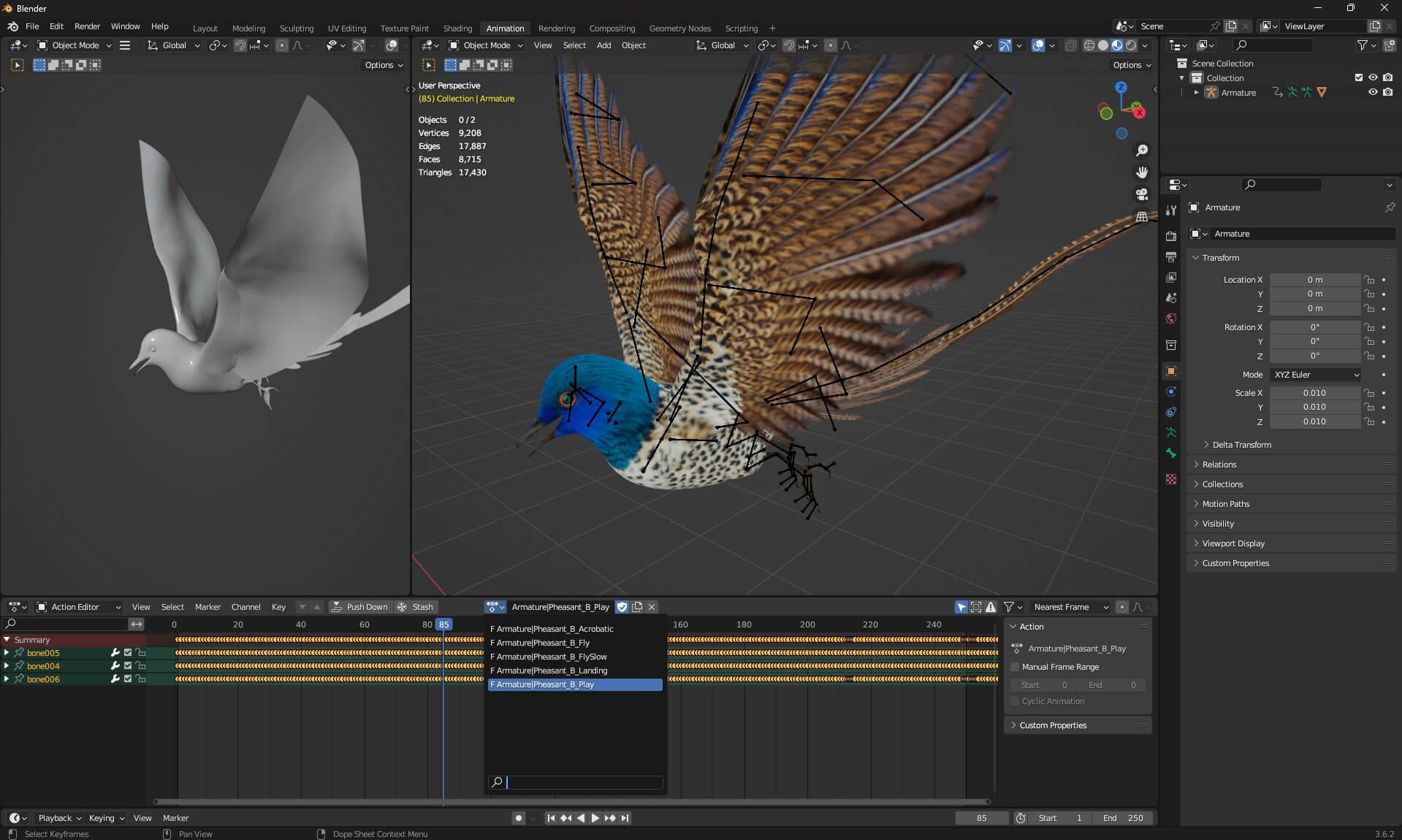 Pheasant Bird-B2 3D Model by Animated3d