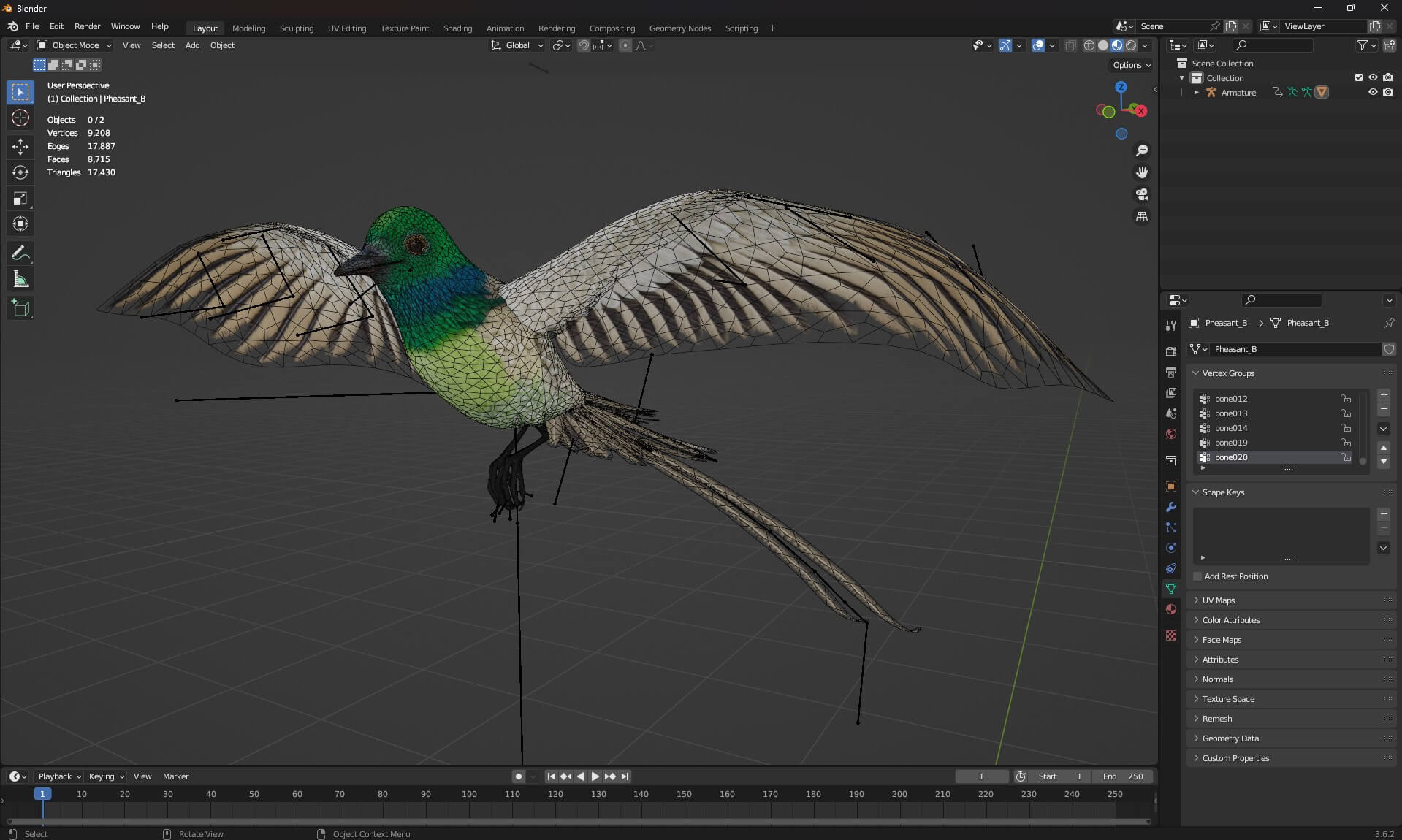 Pheasant Bird-B3 3D Model by Animated3d