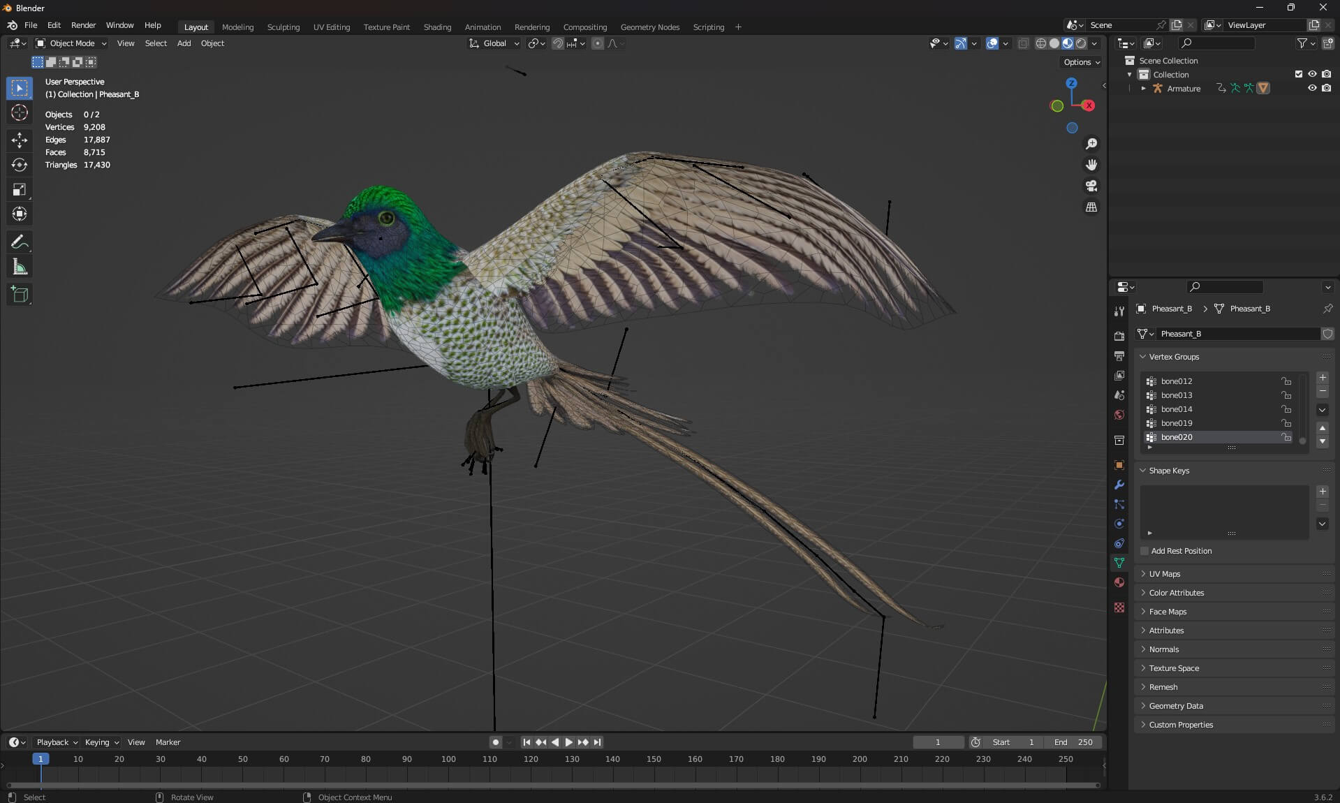 Pheasant Bird-B4 3D Model by Animated3d
