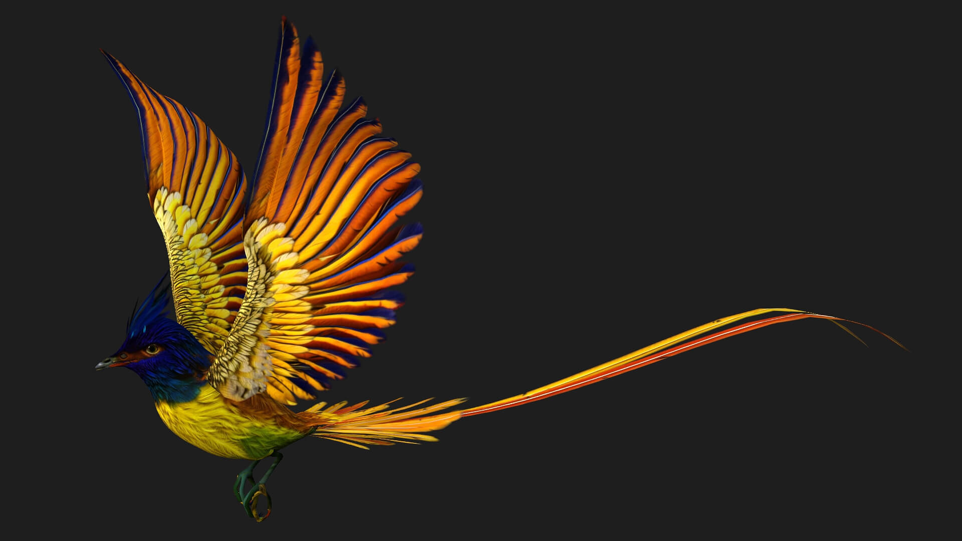 Pheasantbird A1 Animated - 3D Model by Animated3d