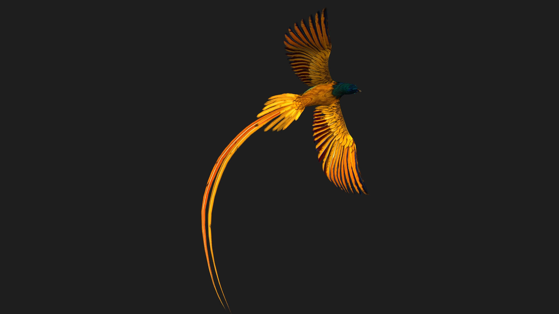 Pheasantbird A2 Animated - 3D Model by Animated3d