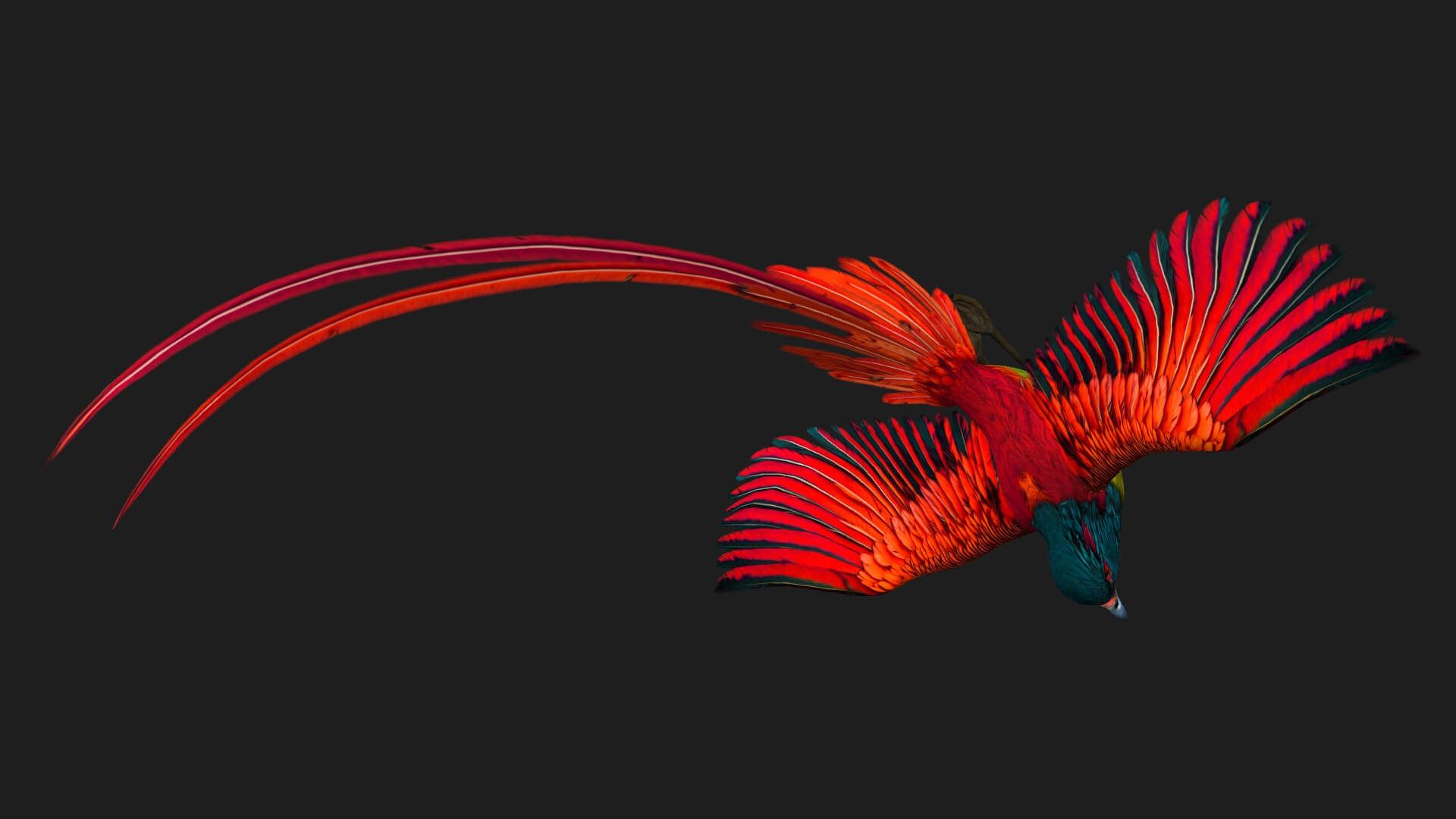 Pheasantbird B5 - 3D Model by Animated3d