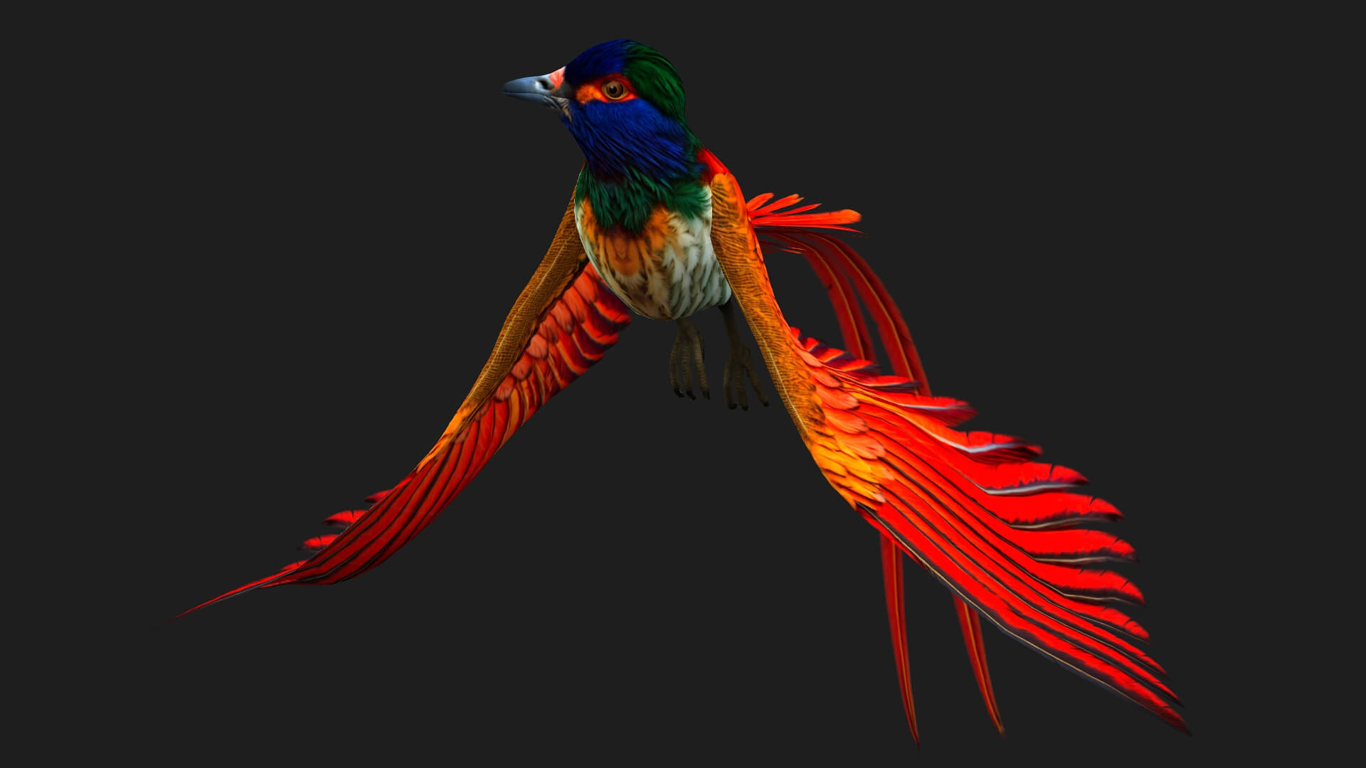 Pheasantbird B6 - 3D Model by Animated3d