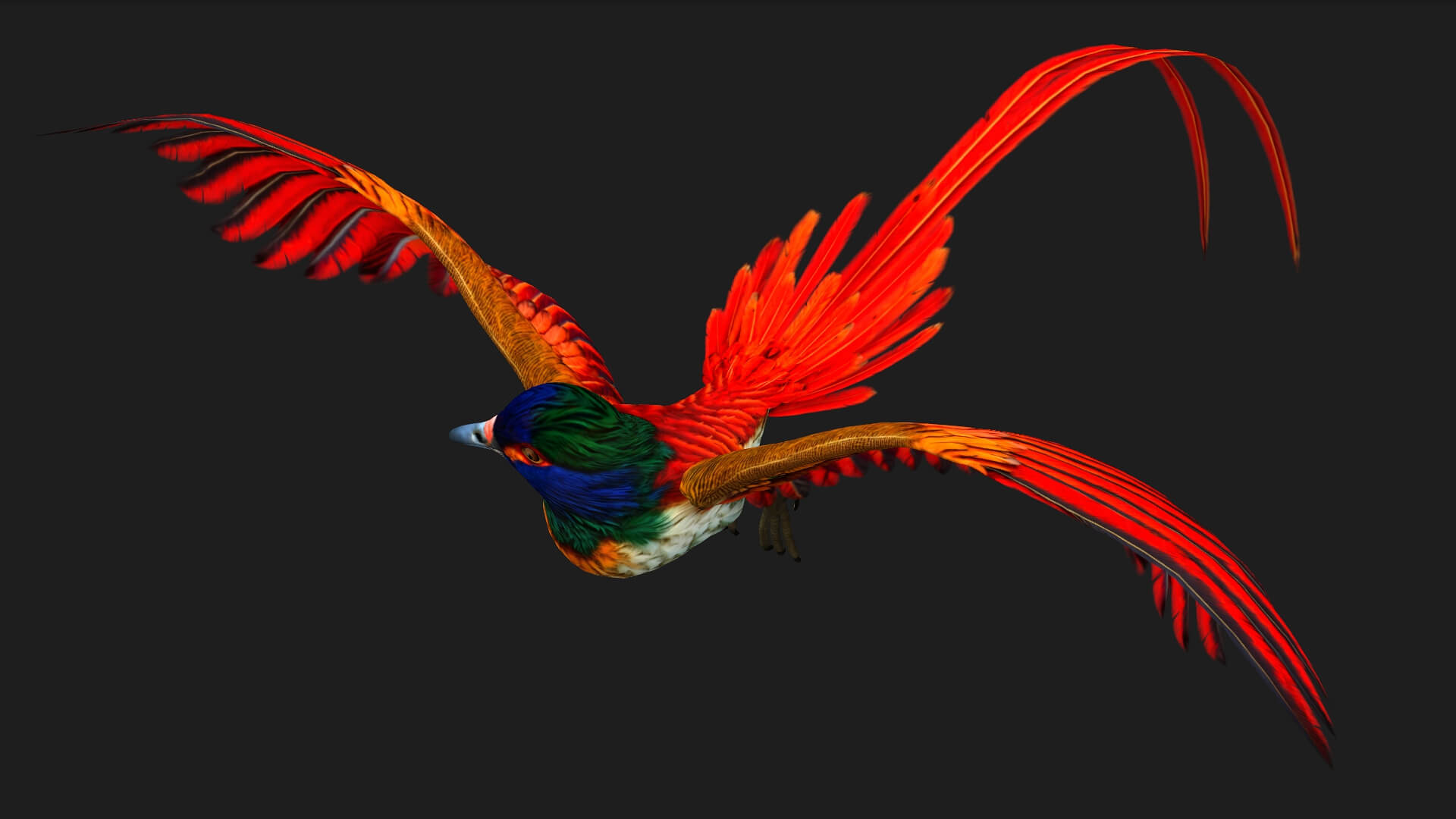 Pheasantbird B6 - 3D Model by Animated3d