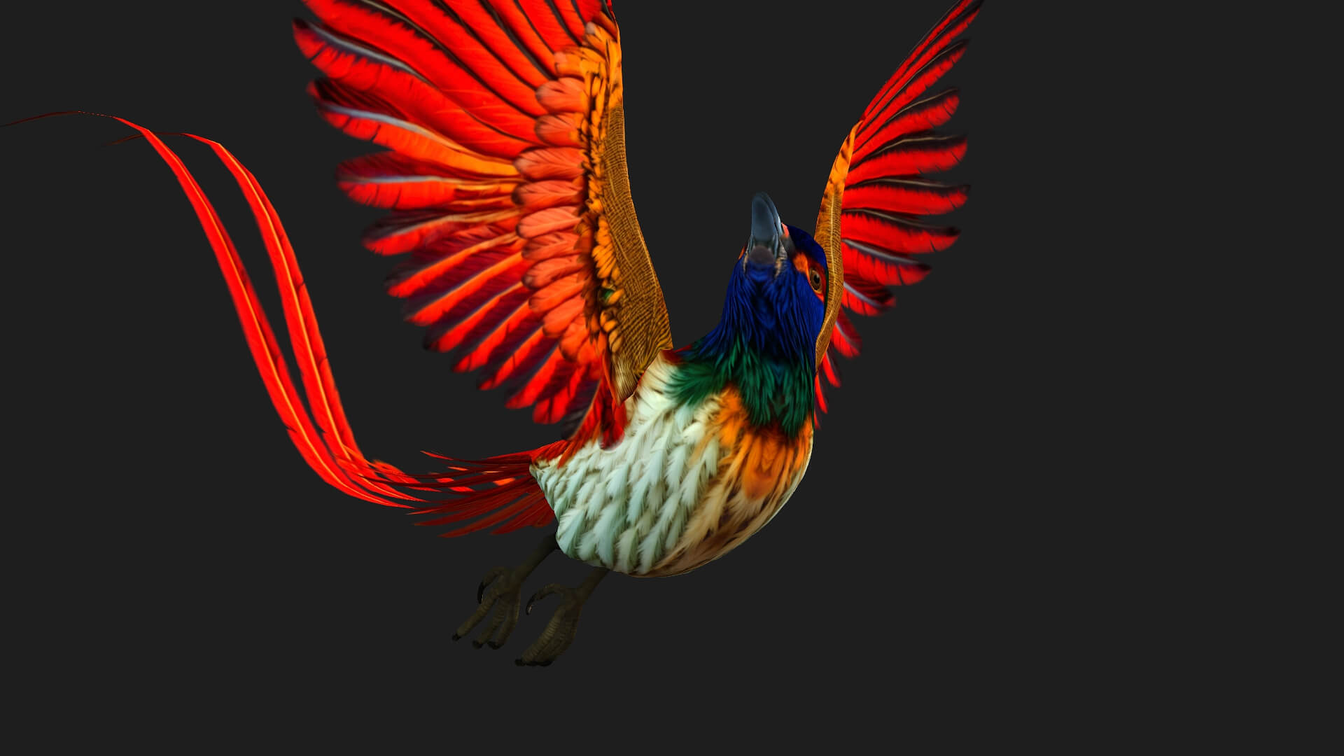 Pheasantbird B6 - 3D Model by Animated3d