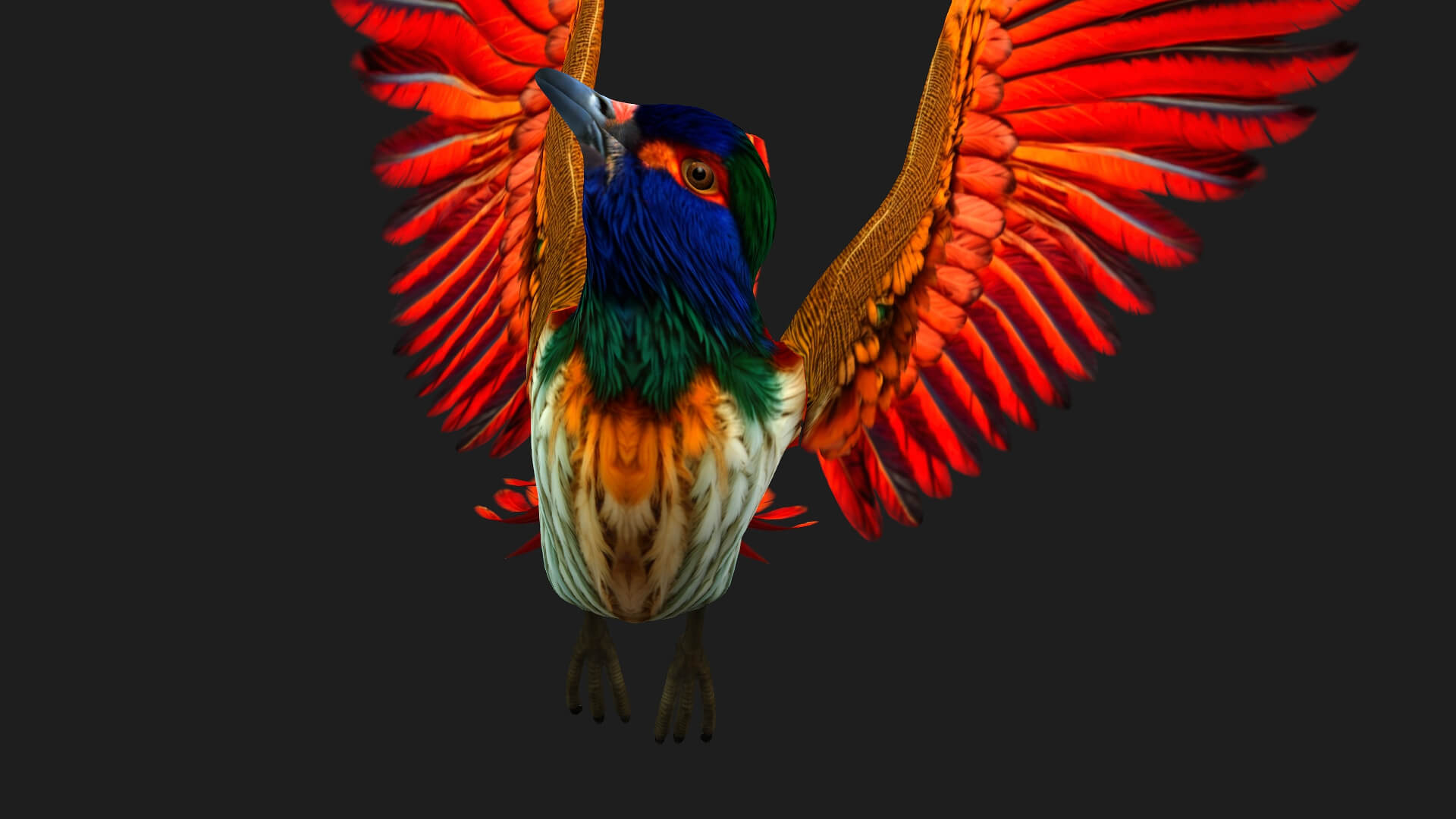 Pheasantbird B6 - 3D Model by Animated3d