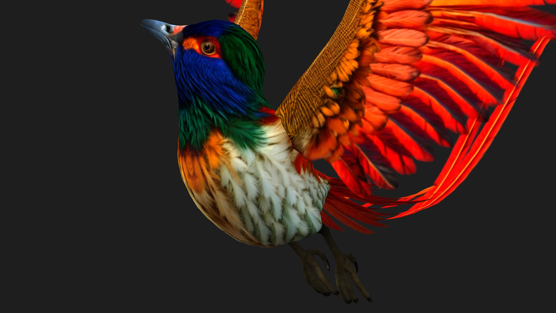 Pheasantbird B6 - 3D Model by Animated3d