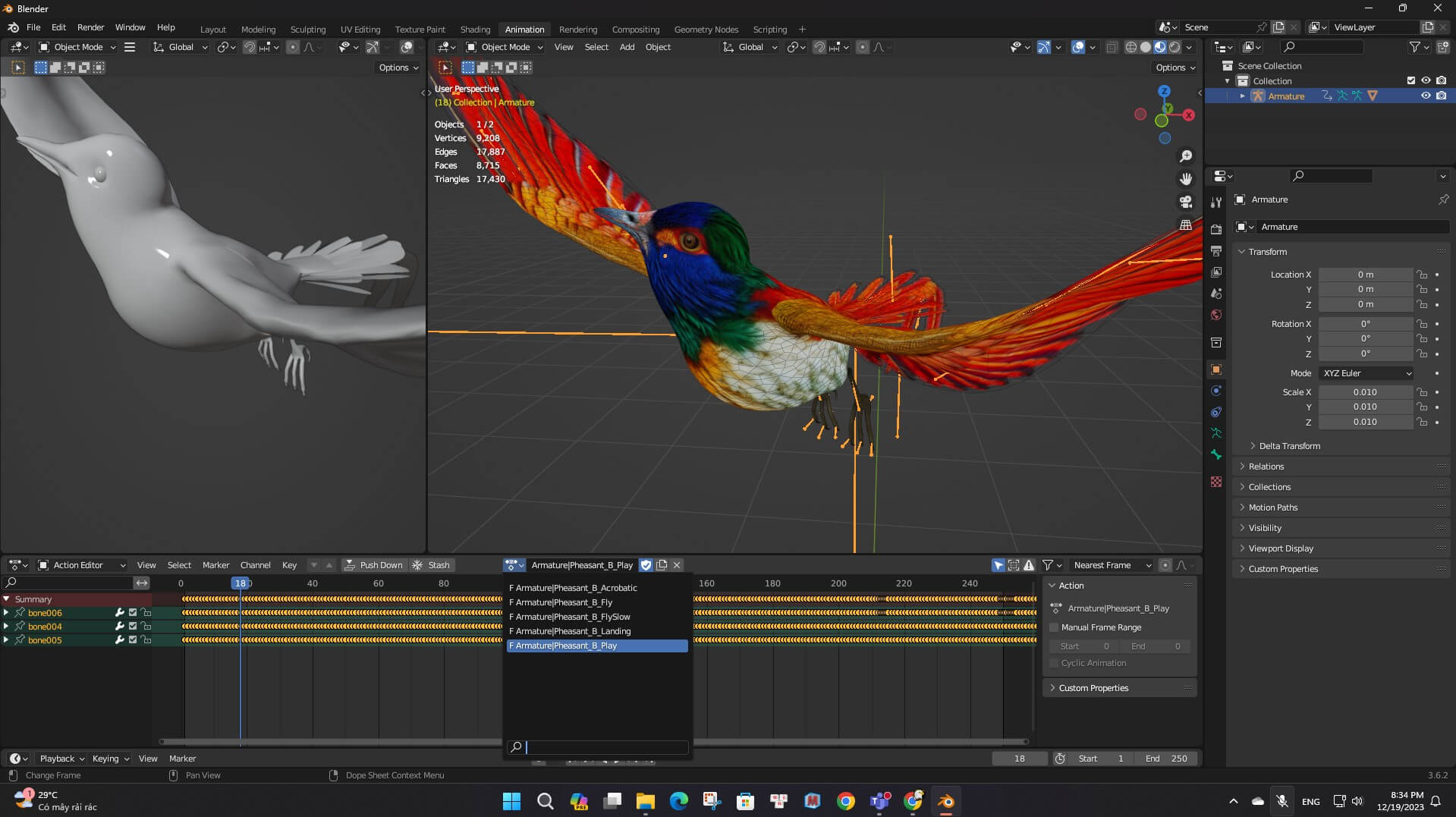 Pheasantbird B6 - 3D Model by Animated3d