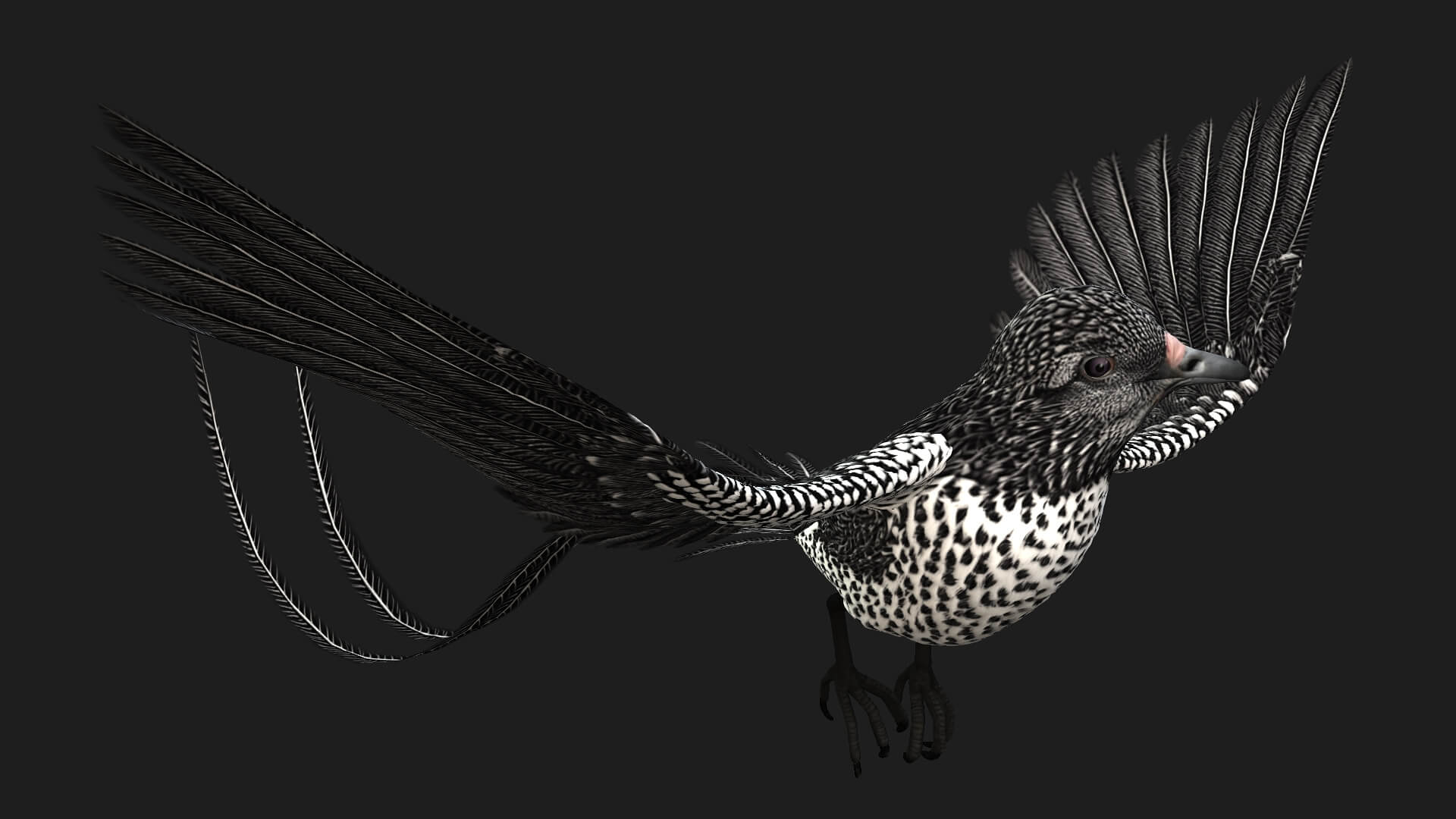 Pheasantbird B7 - 3D Model by Animated3d