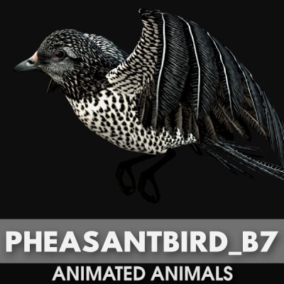 Pheasantbird B7 - 3D Model by Animated3d