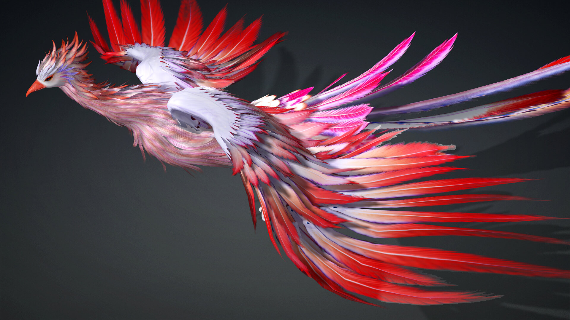 Phoenix-B2-Animated 3D Animation by Animated3d