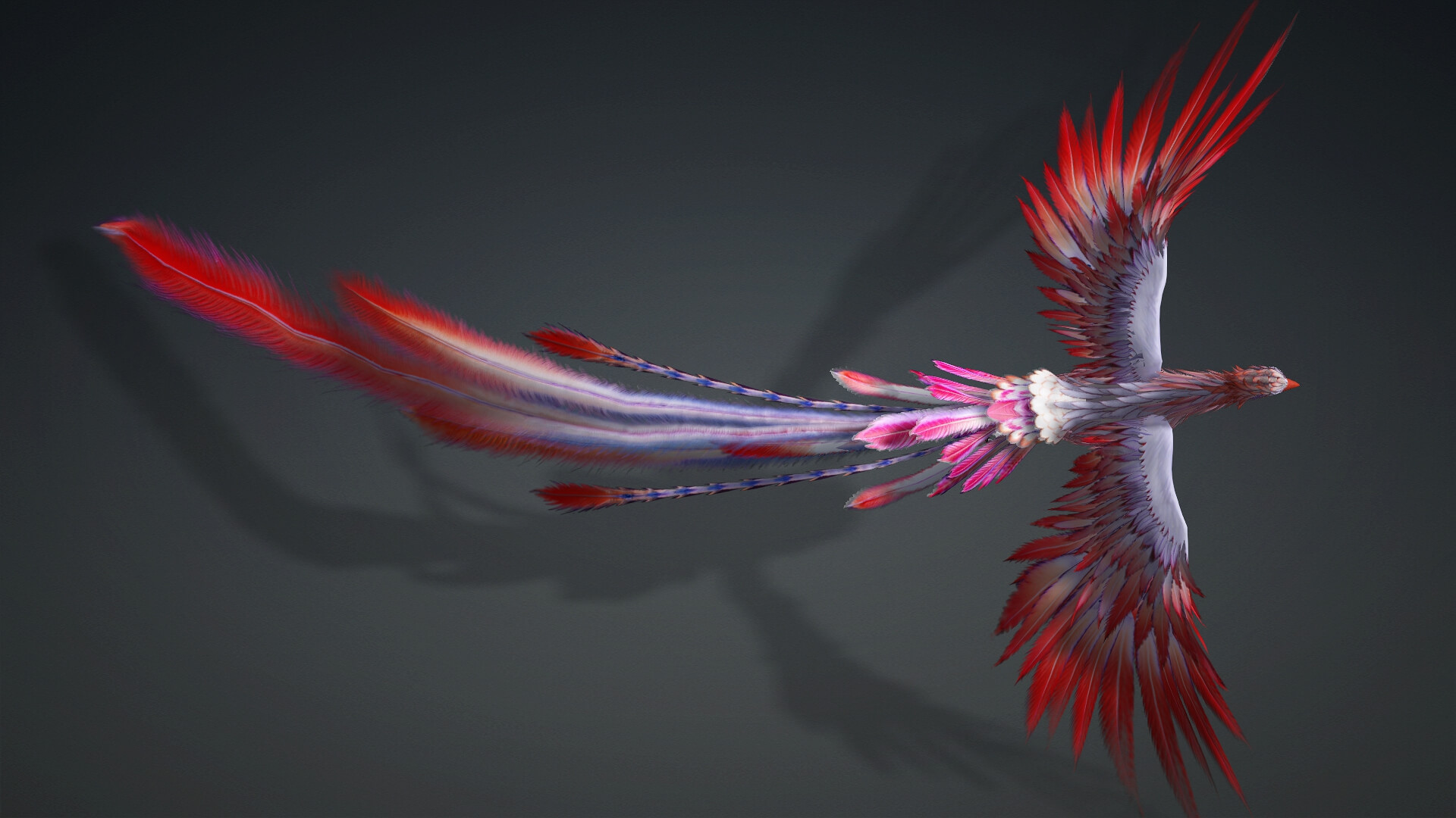 Phoenix-B2-Animated 3D Animation by Animated3d