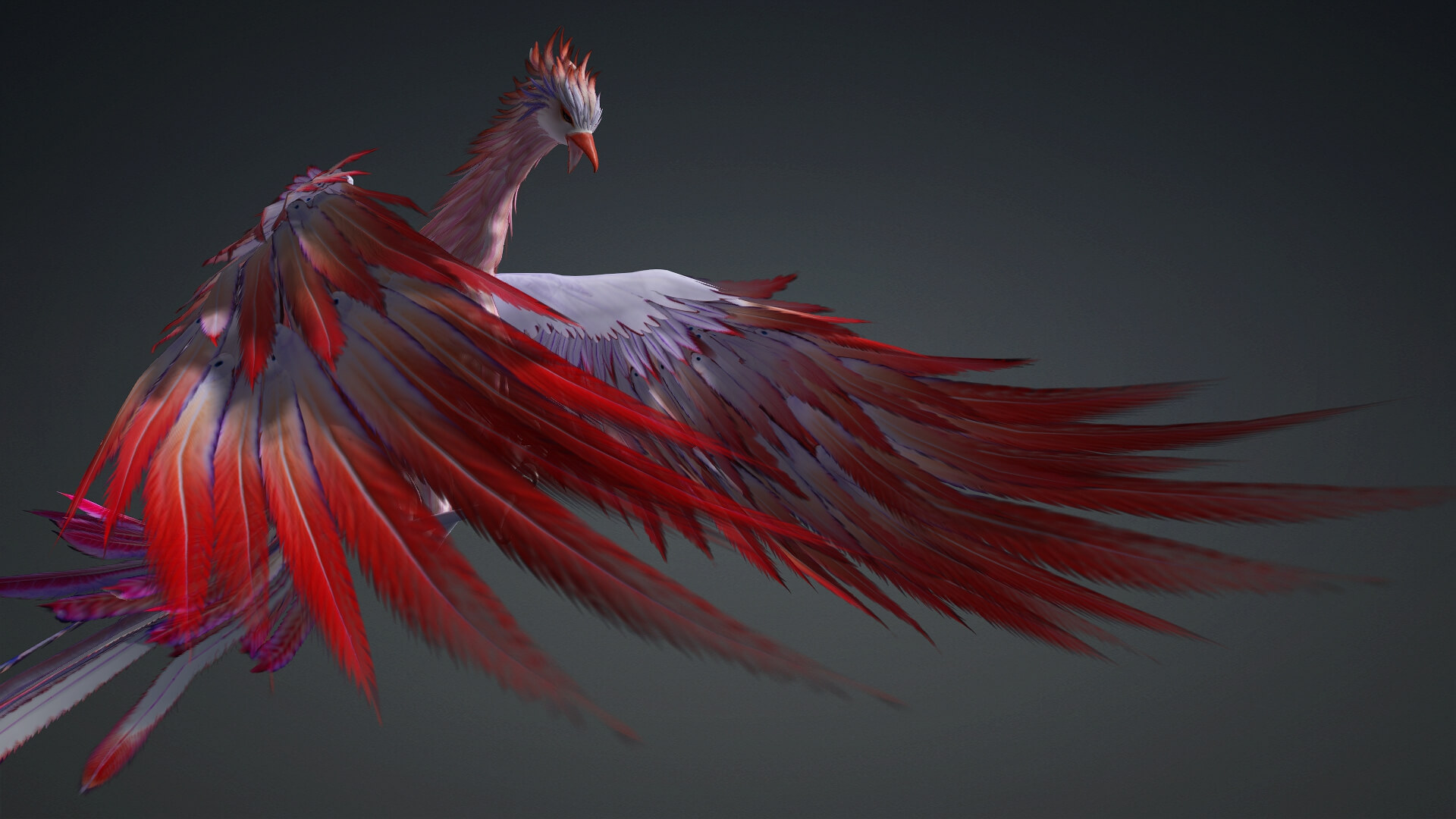 Phoenix-B2-Animated 3D Animation by Animated3d