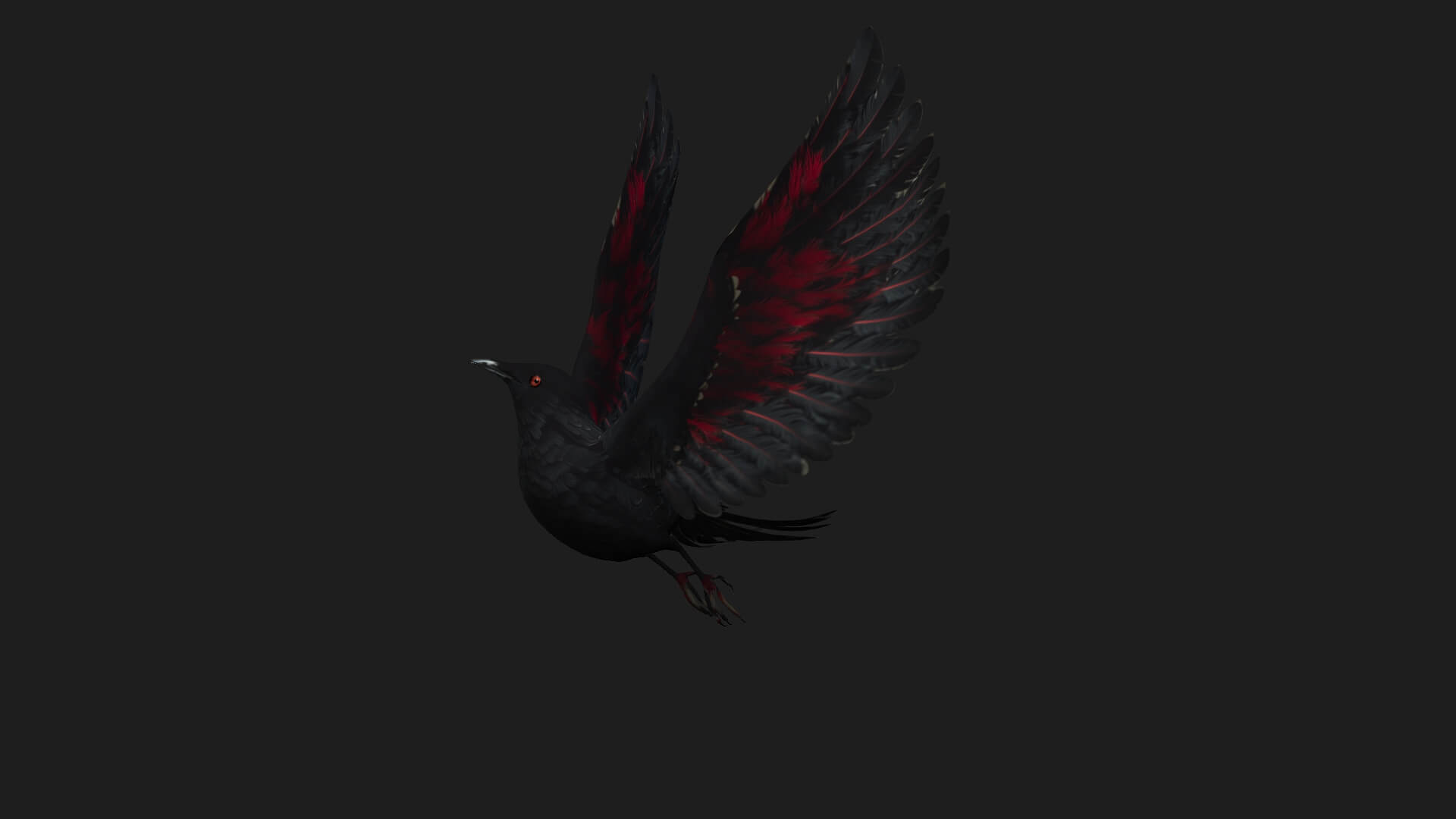 Raven A1 Animated - 3D Model by Animated3d