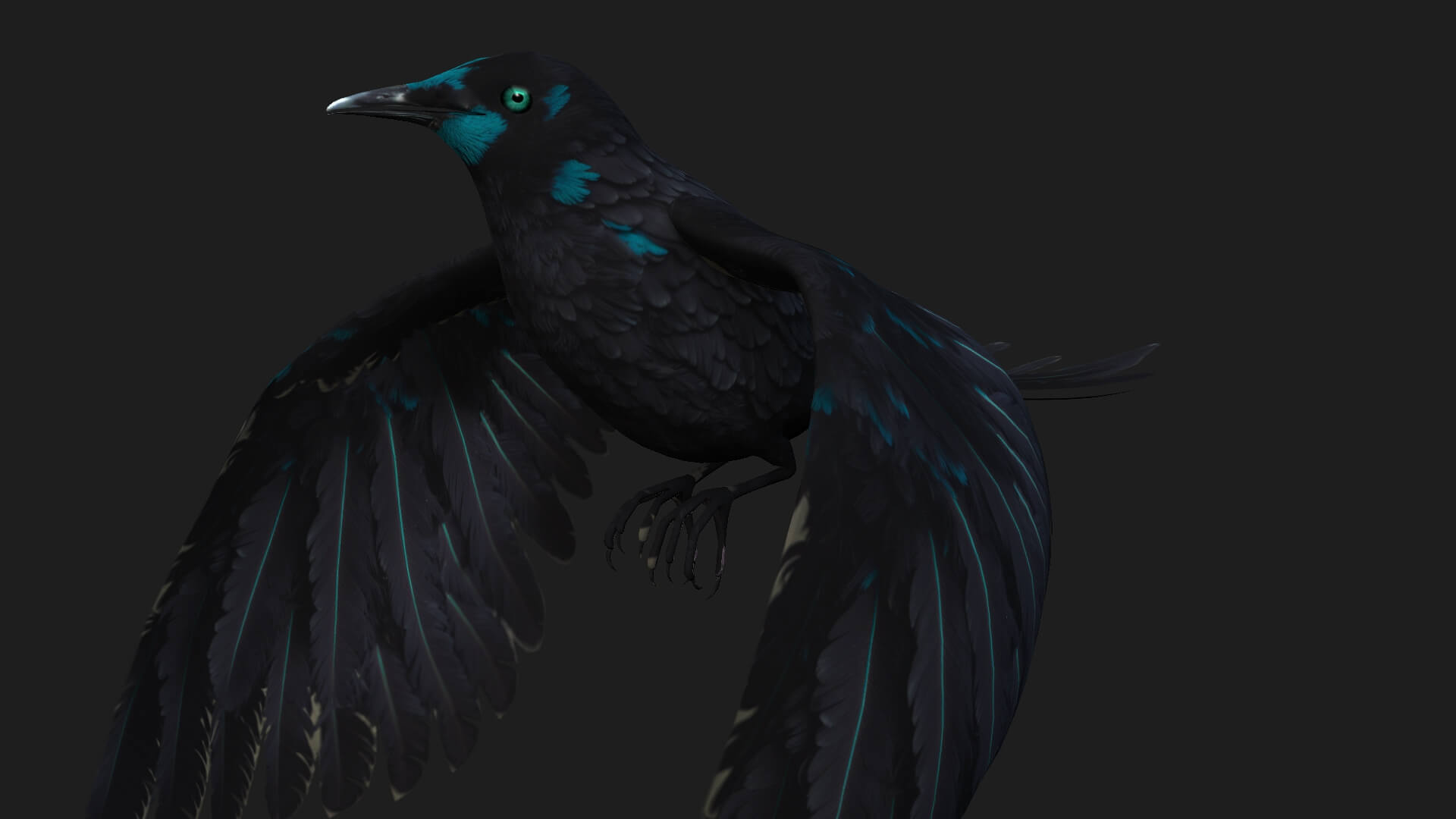 Raven A2 Animated - 3D Model by Animated3d