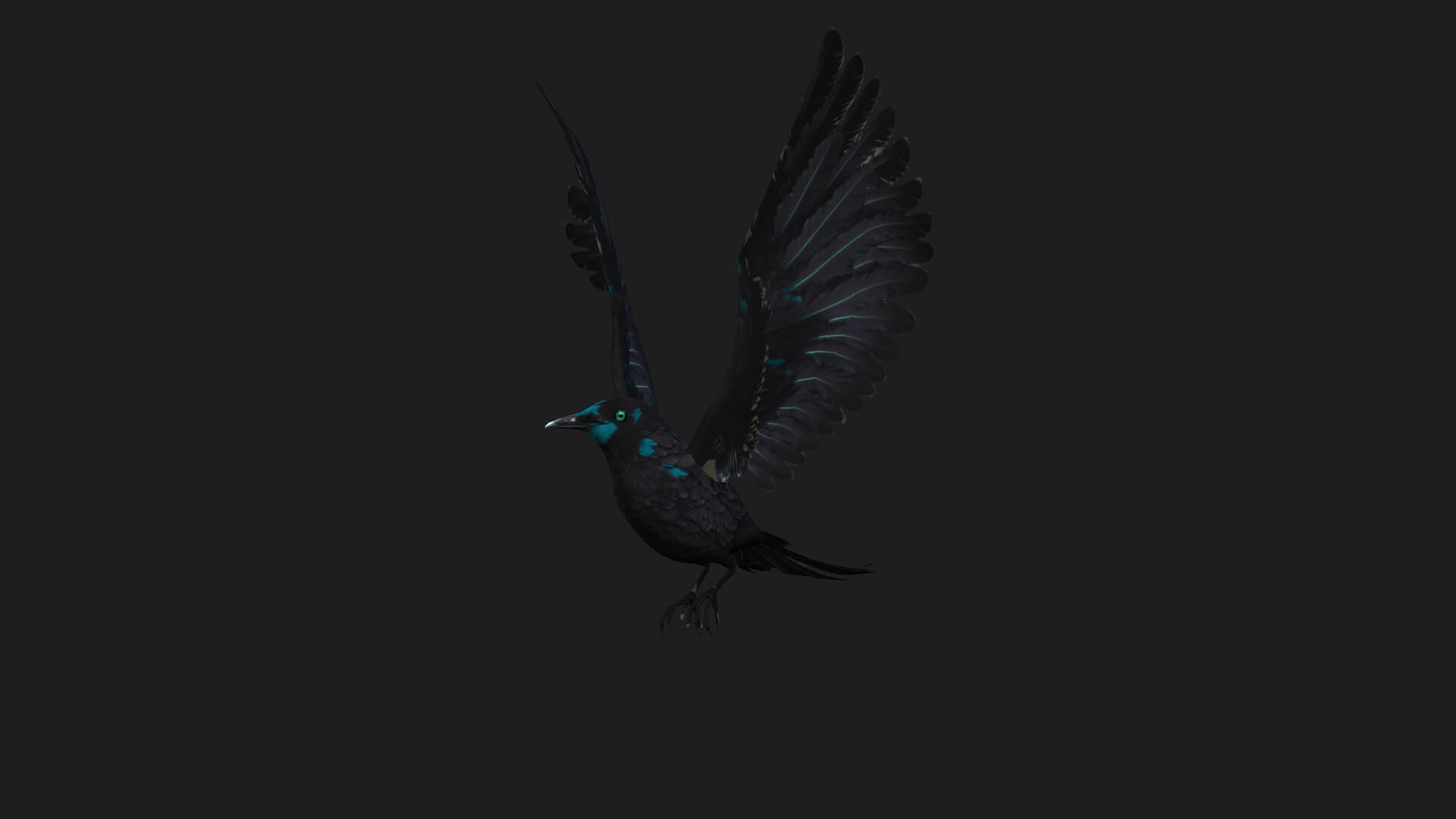 Raven A2 Animated - 3D Model by Animated3d