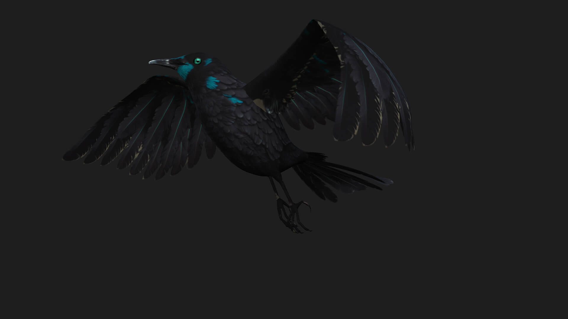 Raven A2 Animated - 3D Model by Animated3d