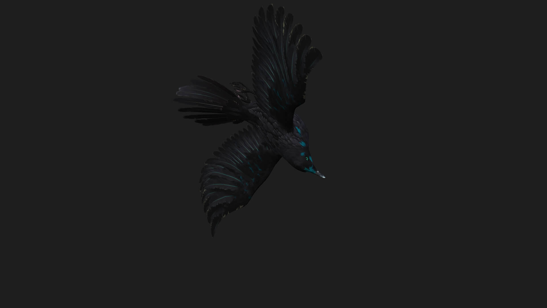 Raven A2 Animated - 3D Model by Animated3d