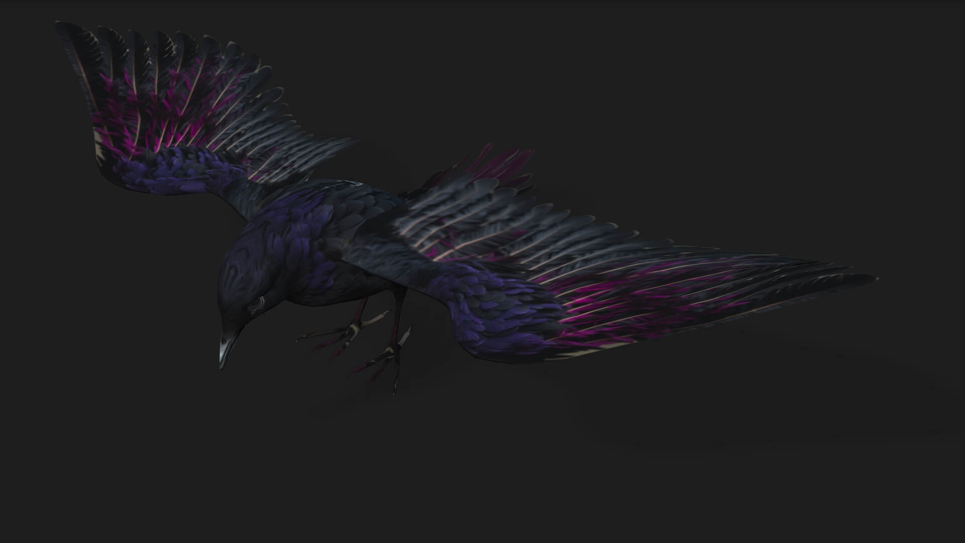 Raven A3 Animated - 3D Model by Animated3d