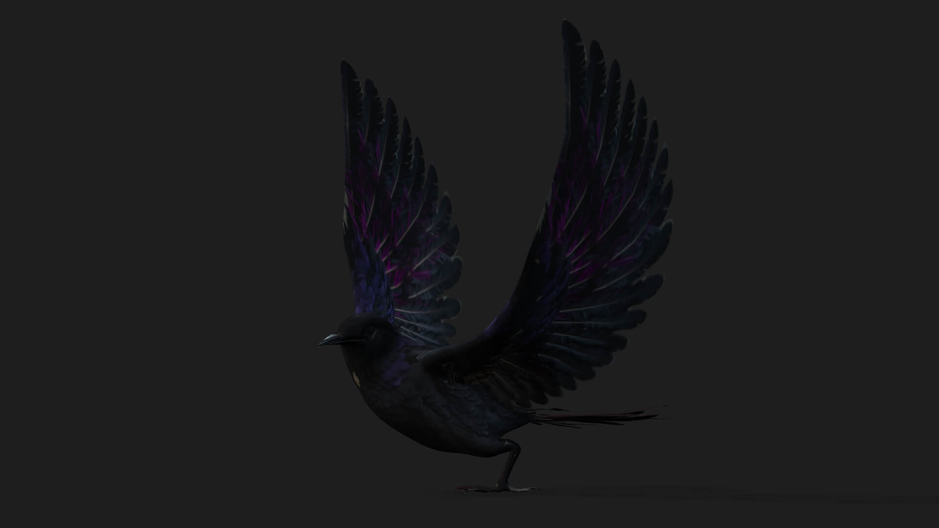 Raven A3 Animated - 3D Model by Animated3d