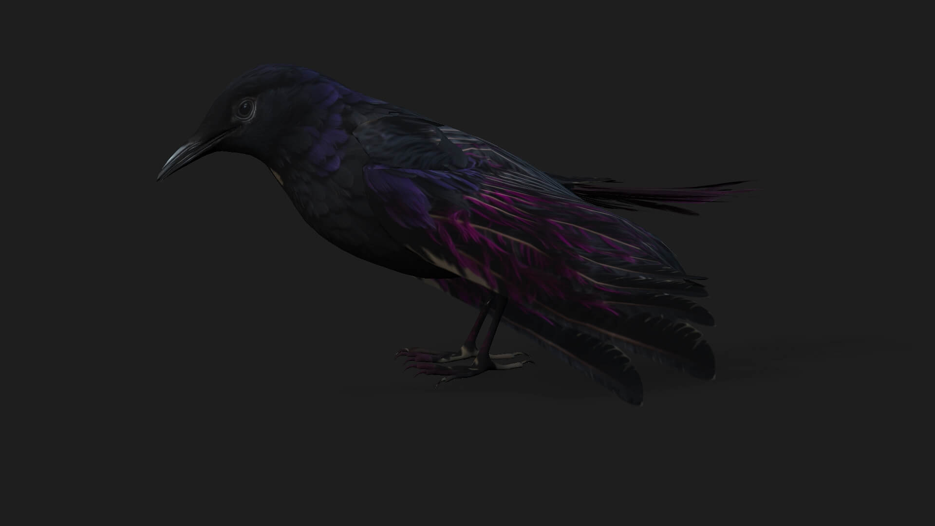 Raven A3 Animated - 3D Model by Animated3d