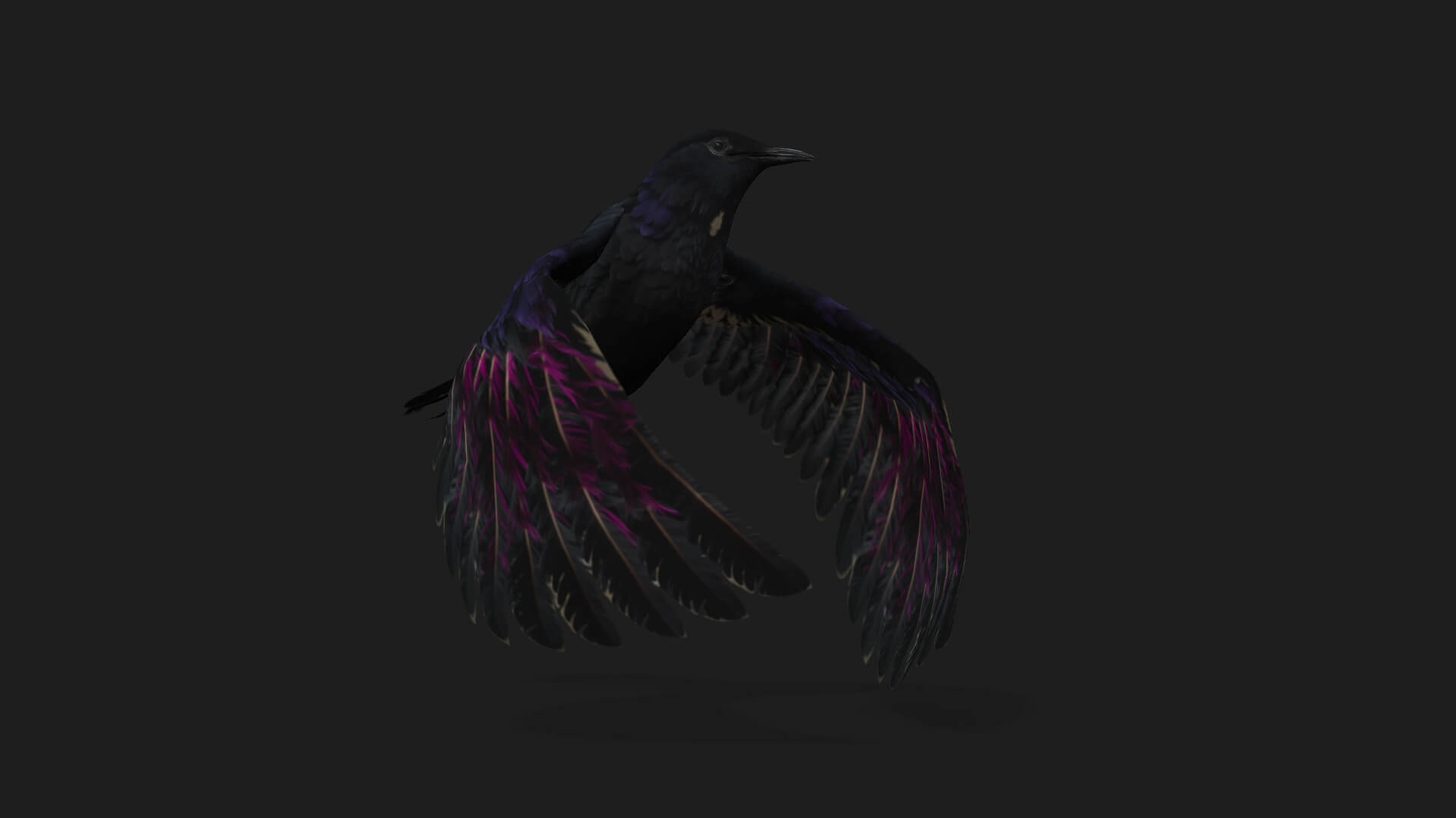 Raven A3 Animated - 3D Model by Animated3d