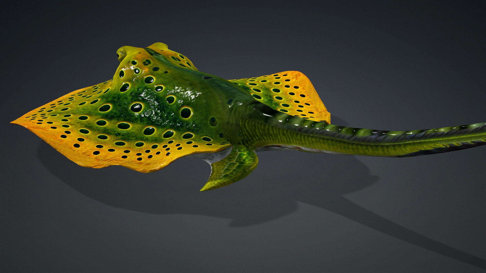 Ray Fish-A2-Animated 3D Animation by Animated3d