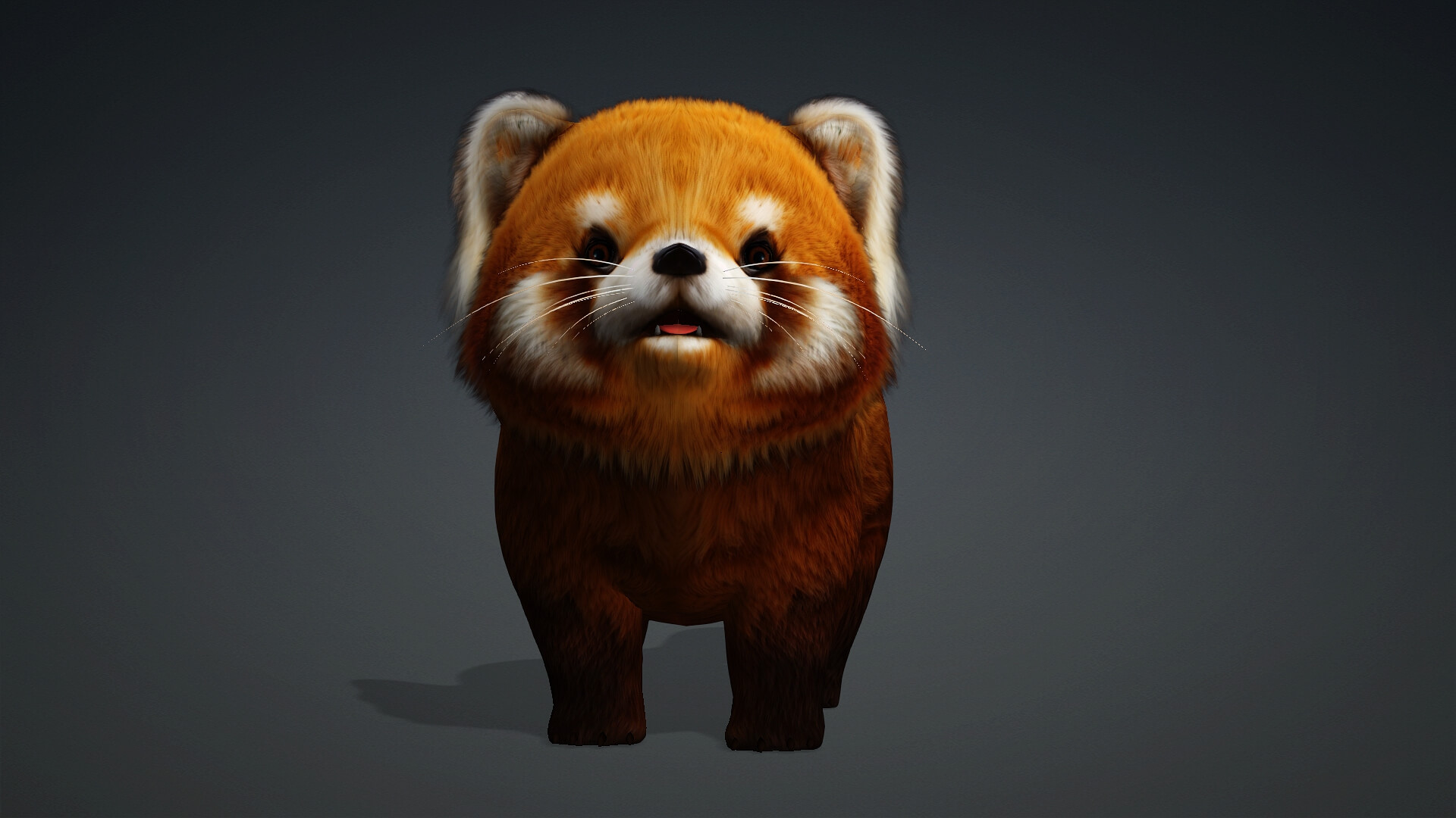 Red Panda-A1 3D Animation by Animated3d