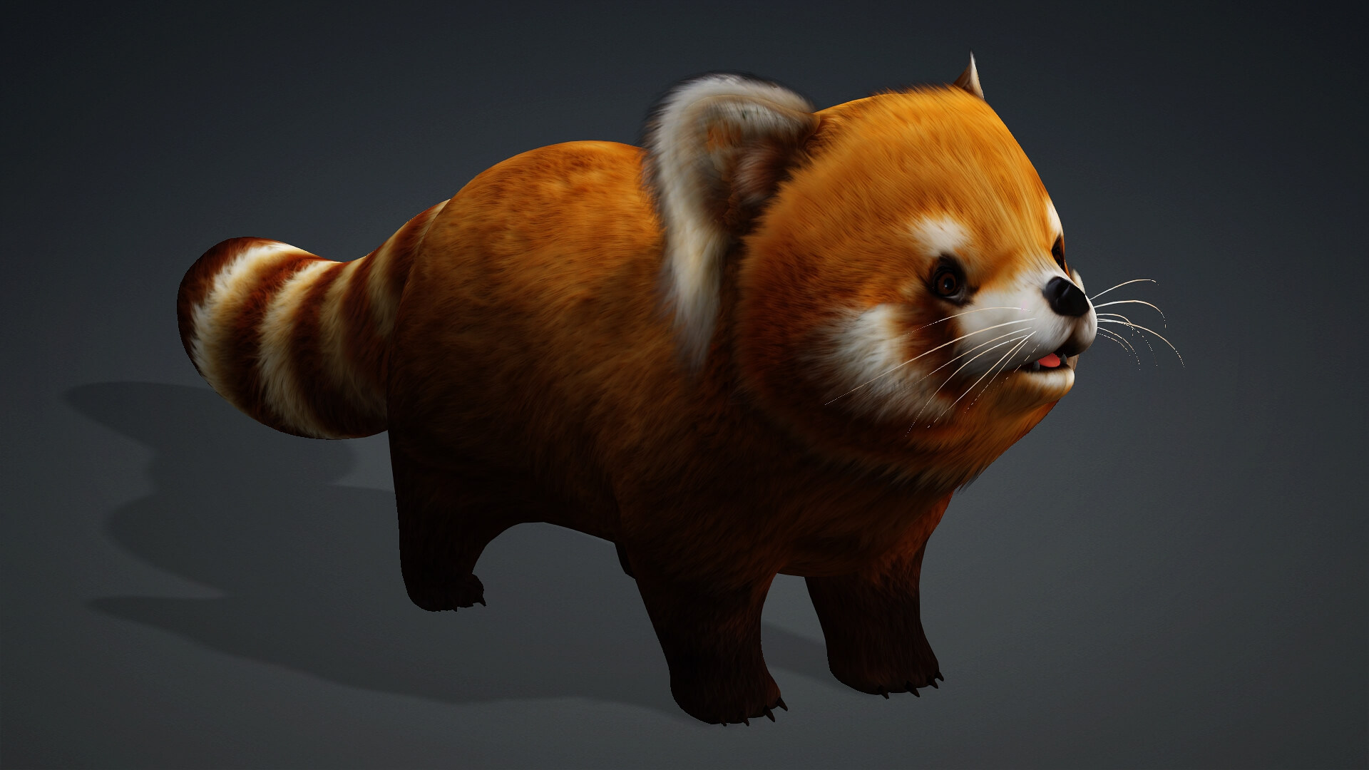 Red Panda-A1 3D Animation by Animated3d