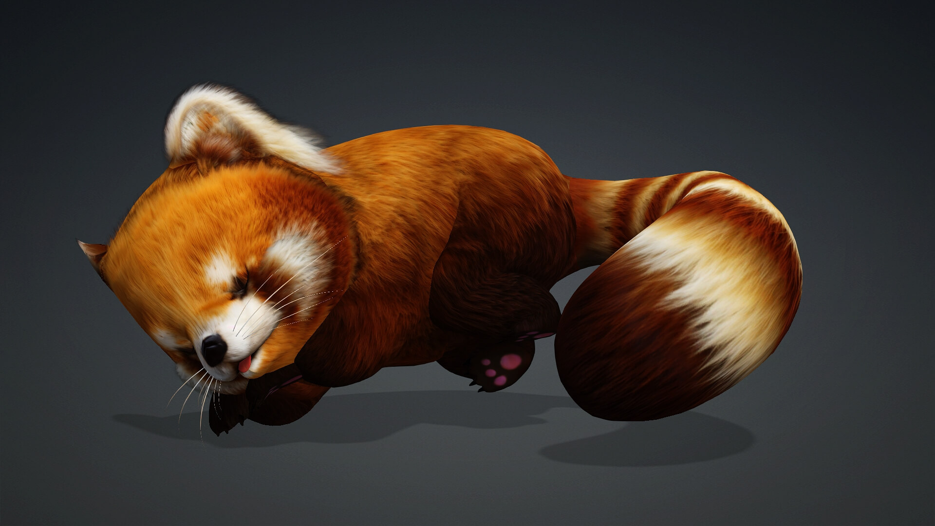 Red Panda-A1 3D Animation by Animated3d