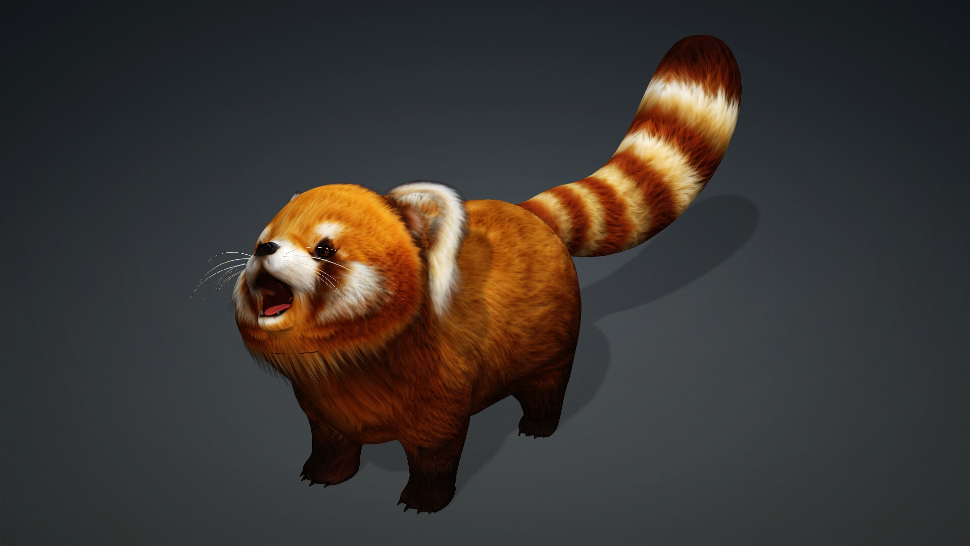 Red Panda-A1 3D Animation by Animated3d