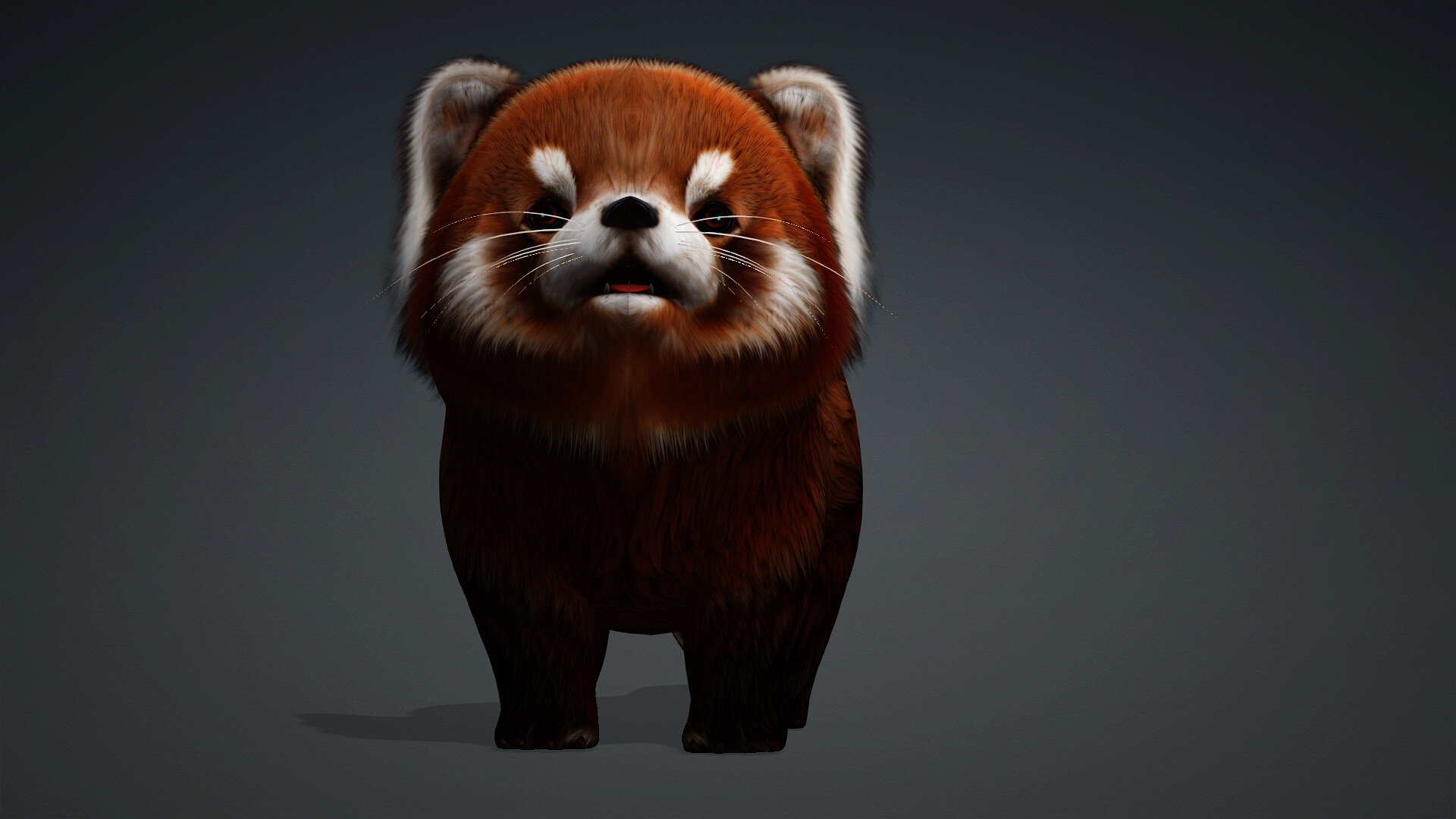 Red Panda-A2 3D Animation by Animated3d