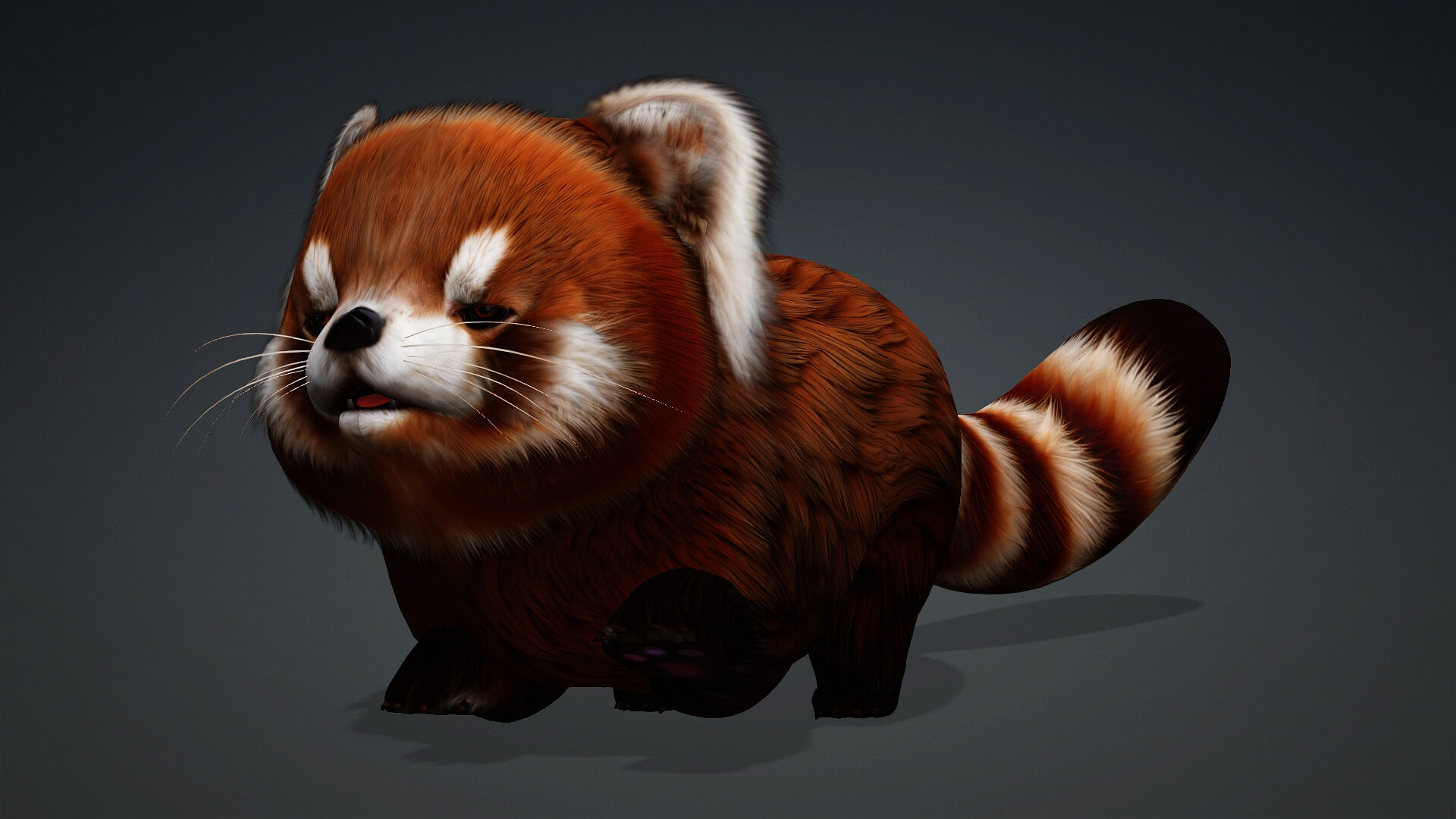 Red Panda-A2 3D Animation by Animated3d
