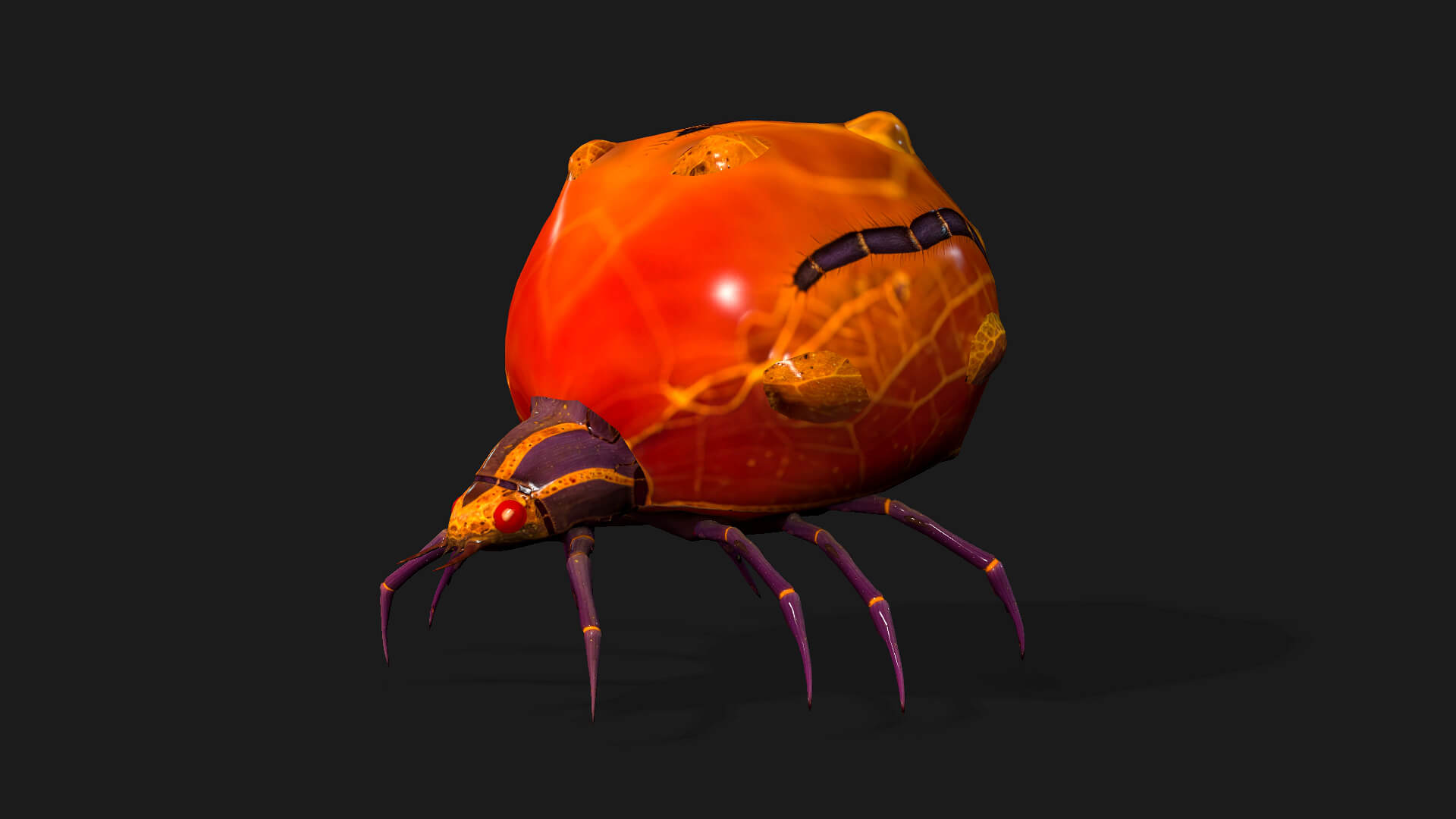 Spider-A1-Animated 3D Model by Animated3d