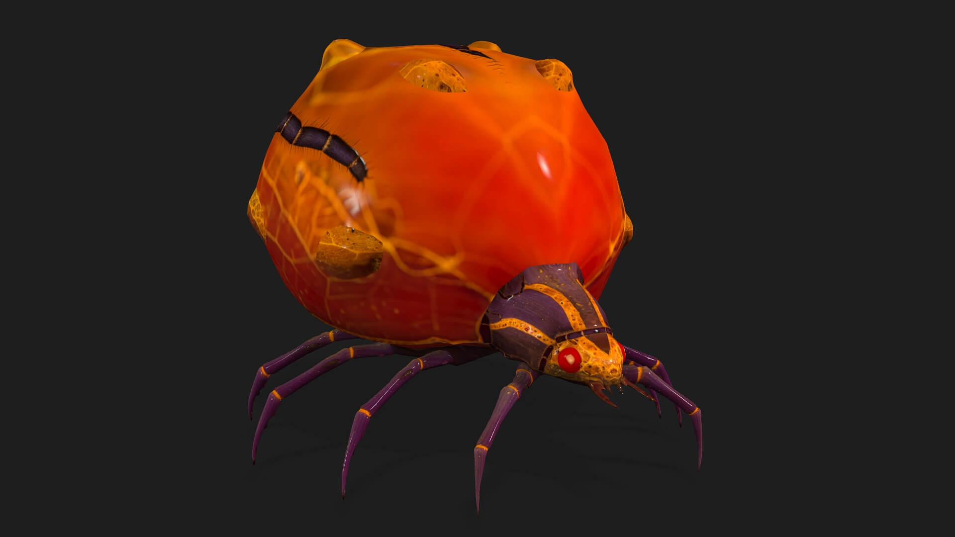 Spider-A1-Animated 3D Model by Animated3d