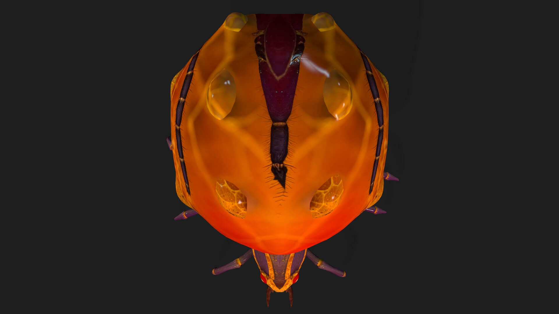 Spider-A1-Animated 3D Model by Animated3d