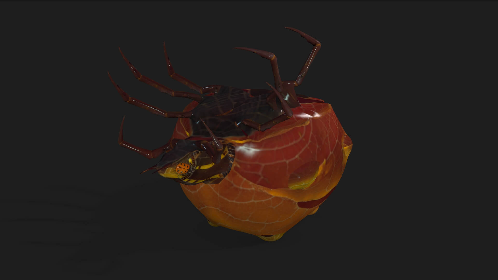 Spider-A2-Animated 3D Model by Animated3d