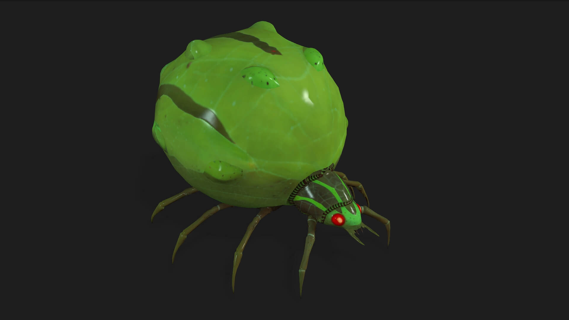 Spider-A3-Animated 3D Model by Animated3d