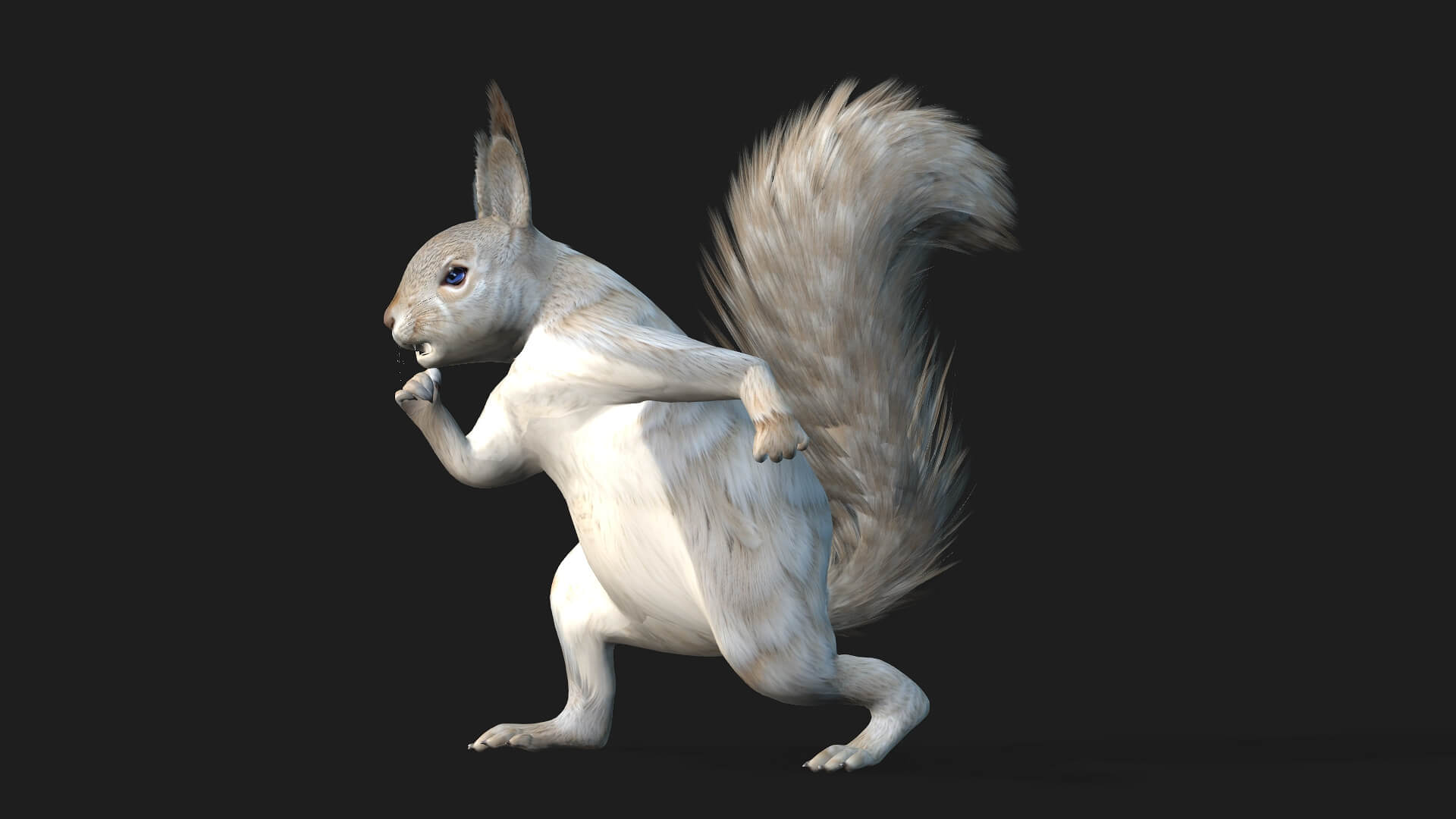 Squirrel-A2-Animated 3D Animation by Animated3d