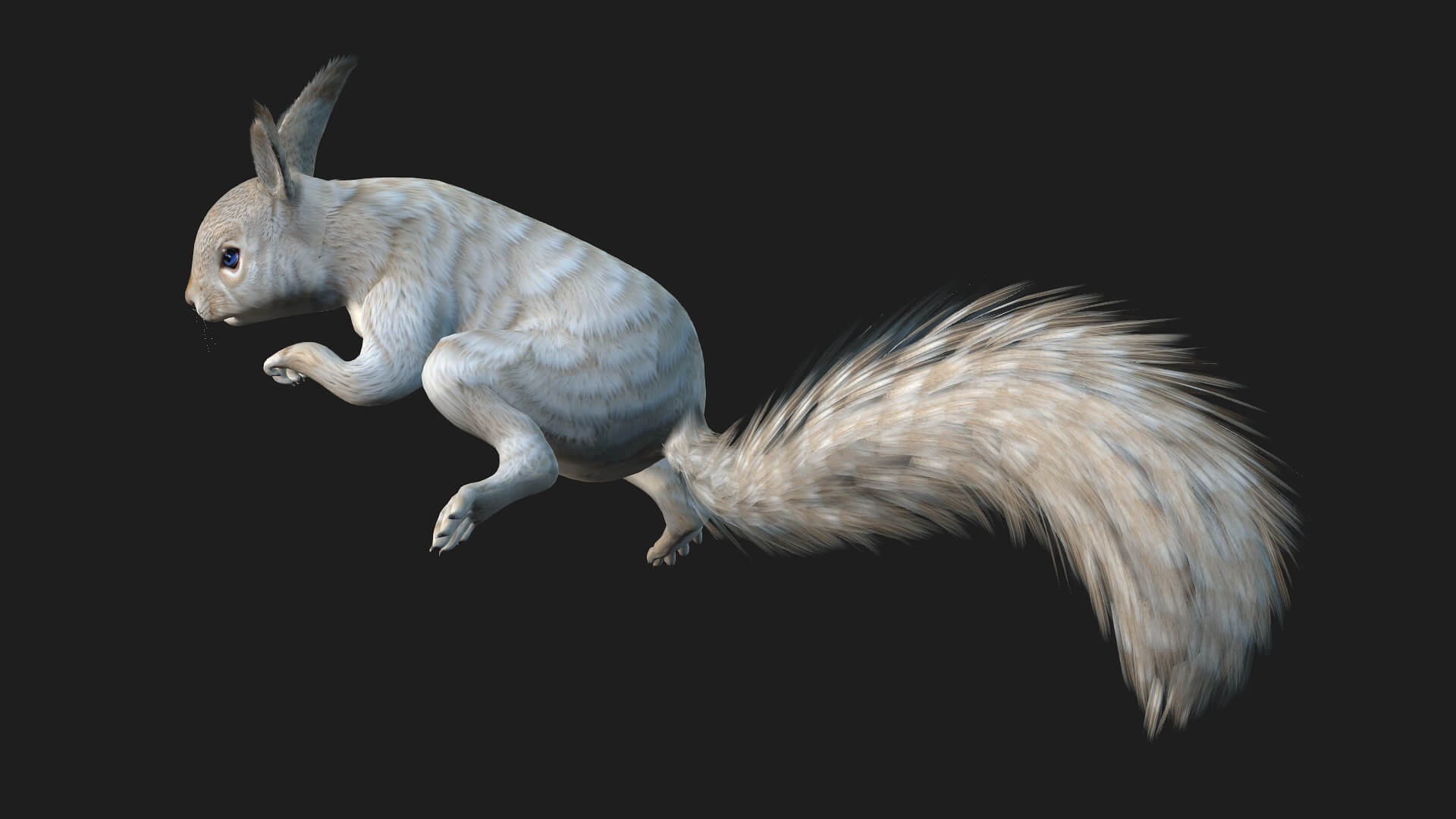Squirrel-A2-Animated 3D Animation by Animated3d