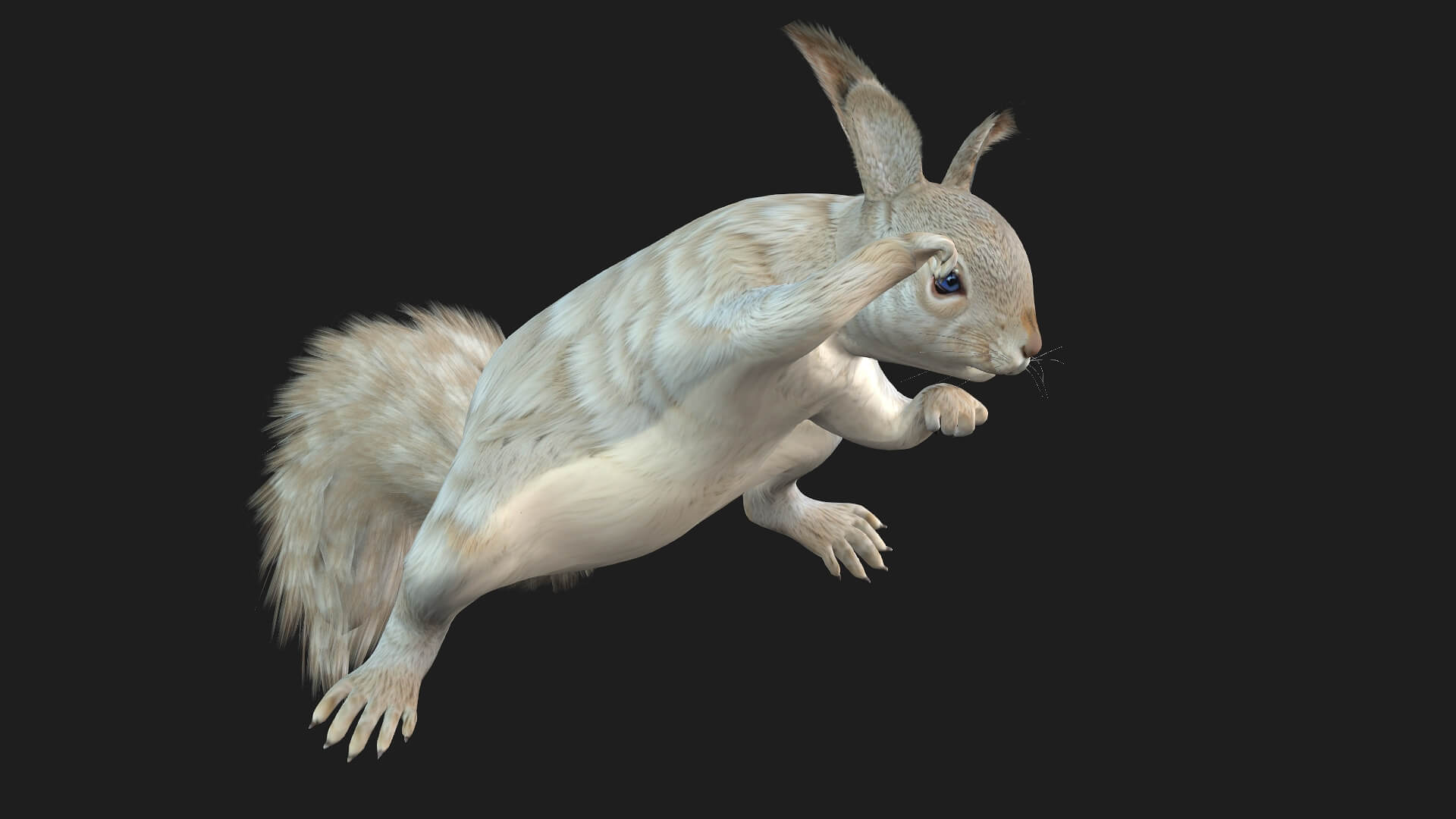 Squirrel-A2-Animated 3D Animation by Animated3d