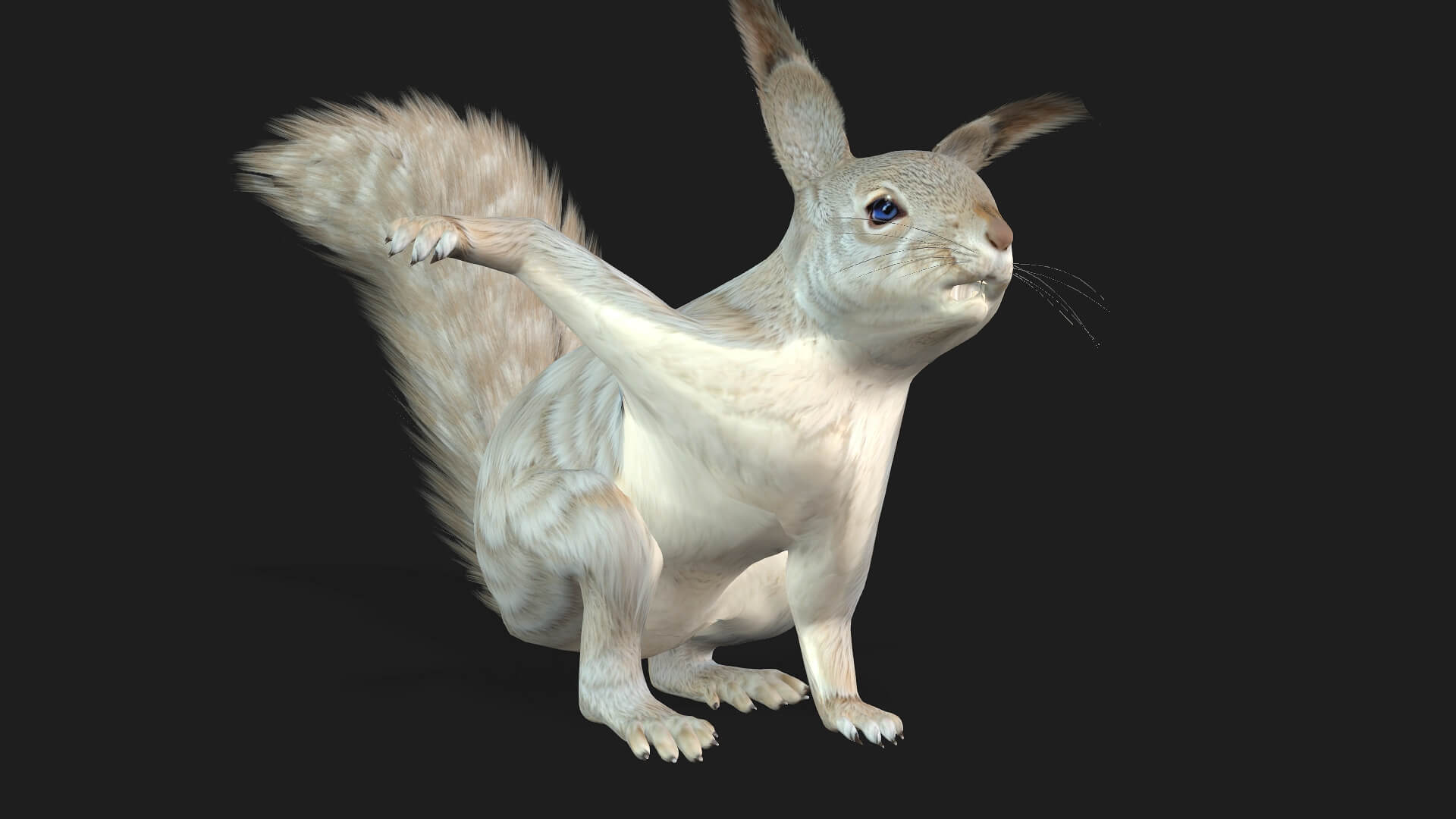 Squirrel-A2-Animated 3D Animation by Animated3d