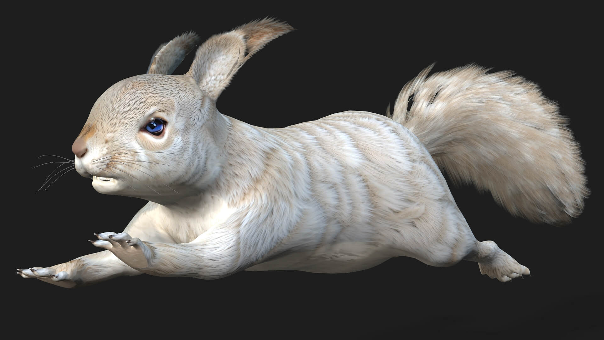 Squirrel-A2-Animated 3D Animation by Animated3d