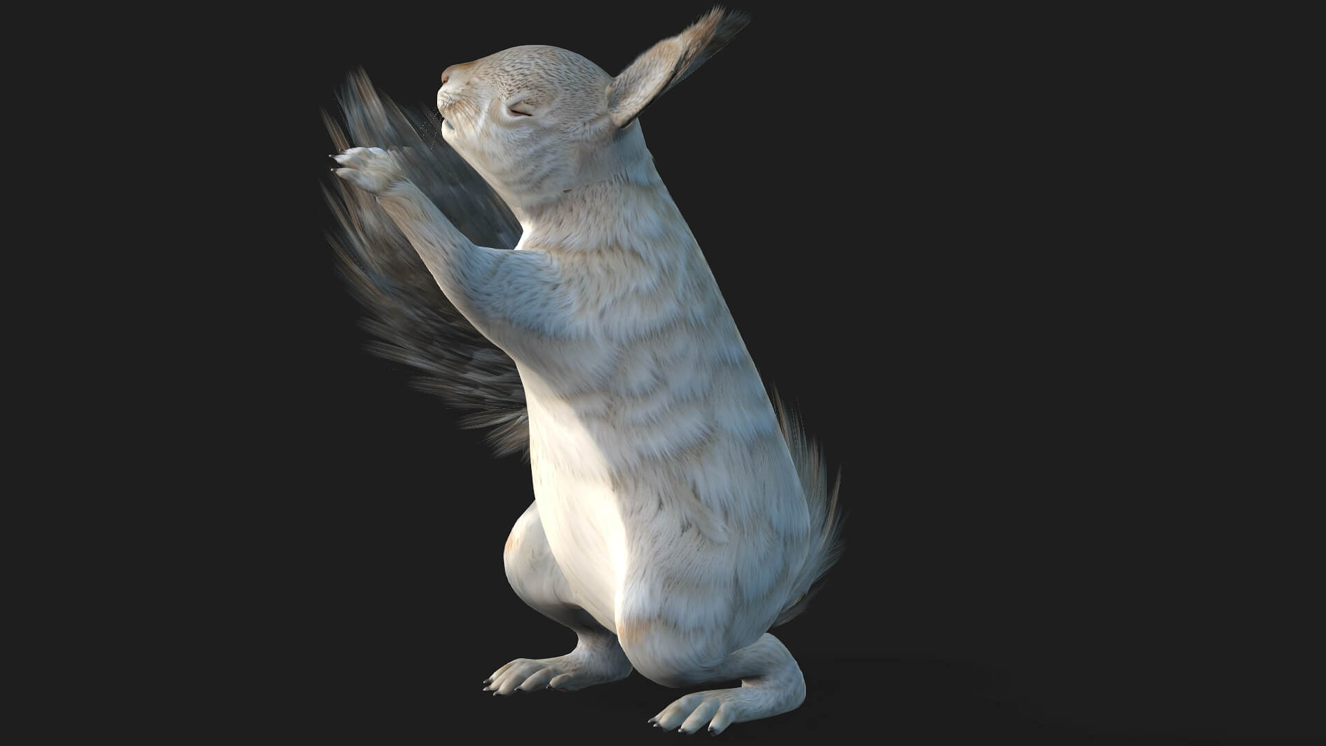 Squirrel-A2-Animated 3D Animation by Animated3d