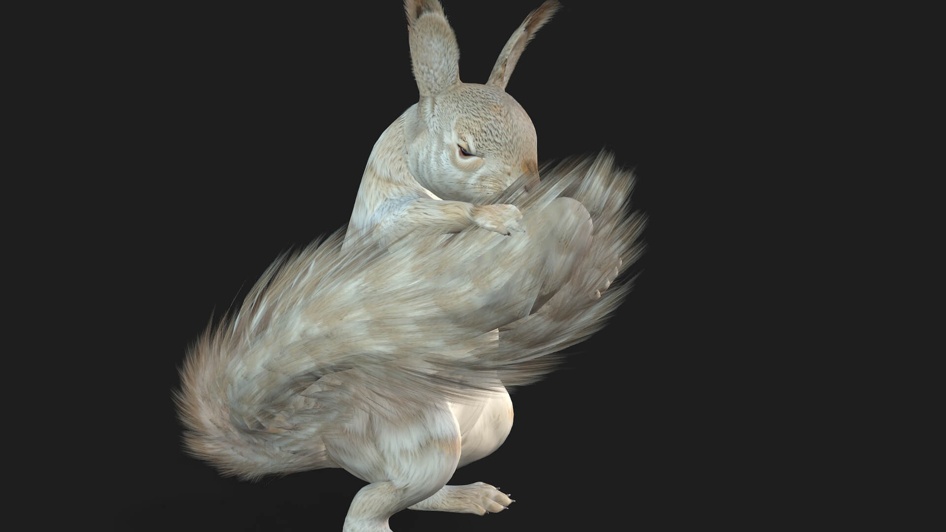 Squirrel-A2-Animated 3D Animation by Animated3d