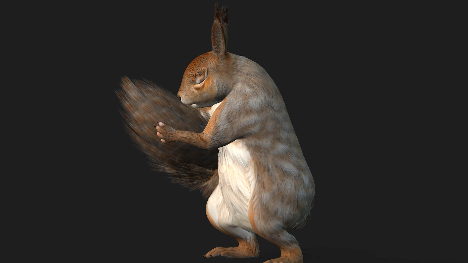 Squirrel-A3-Animated 3D Animation by Animated3d
