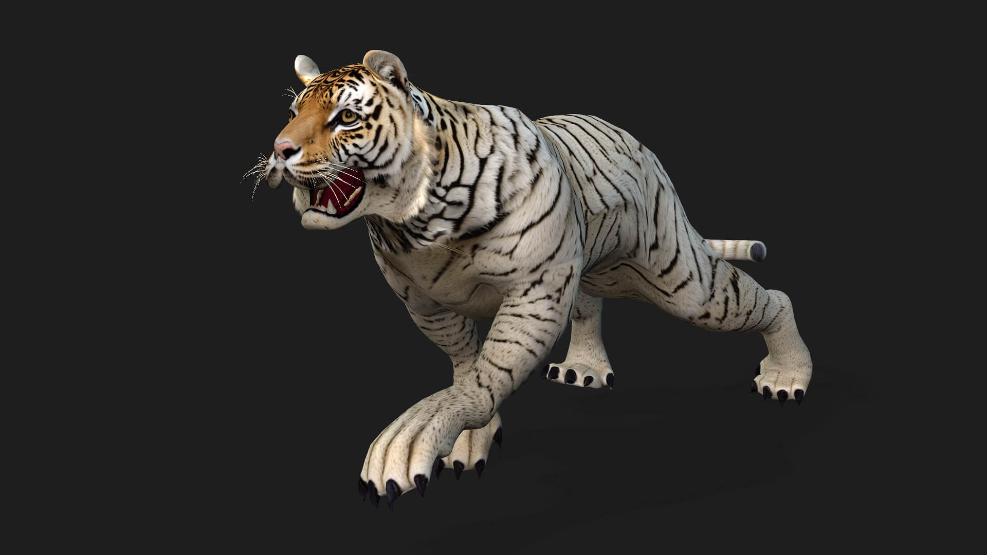 Tiger A1 Animated - 3D Model by Animated3d