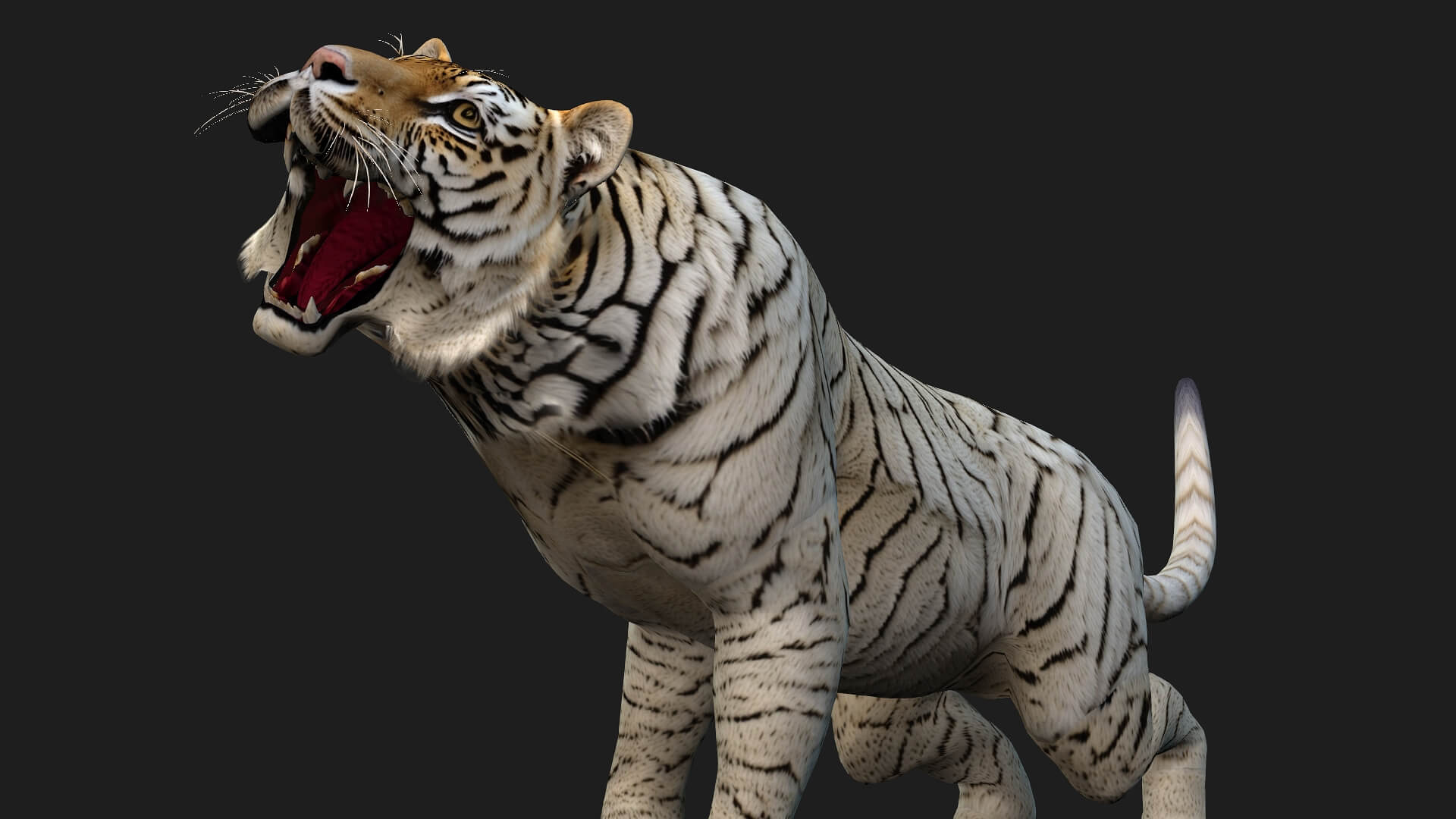 Tiger A1 Animated - 3D Model by Animated3d