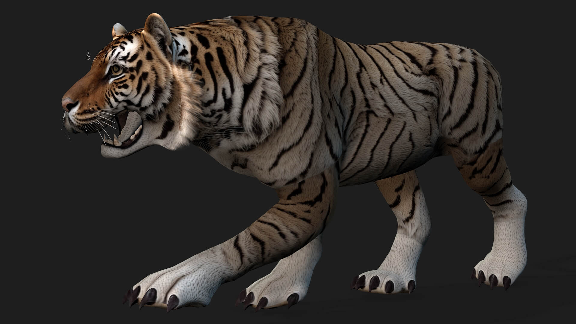 Tiger A3 Animated - 3D Model by Animated3d