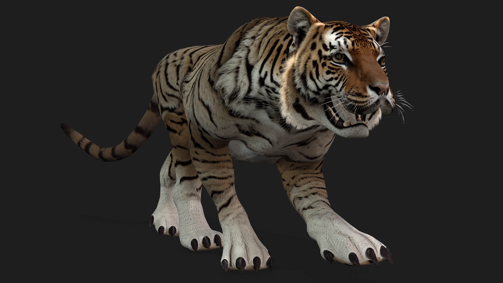 Tiger A3 Animated - 3D Model by Animated3d